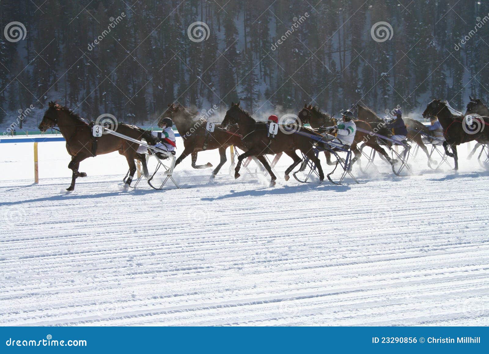 Sulky Race editorial photo. Image of frozen, trotter - 23290856
