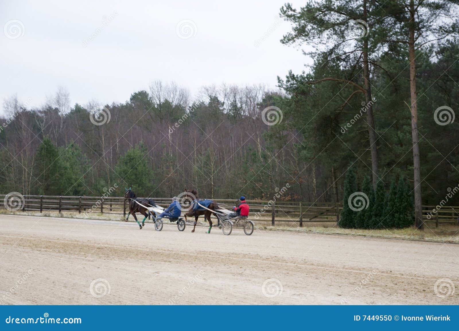 Sulky at the race track stock photo. Image of running - 7449550