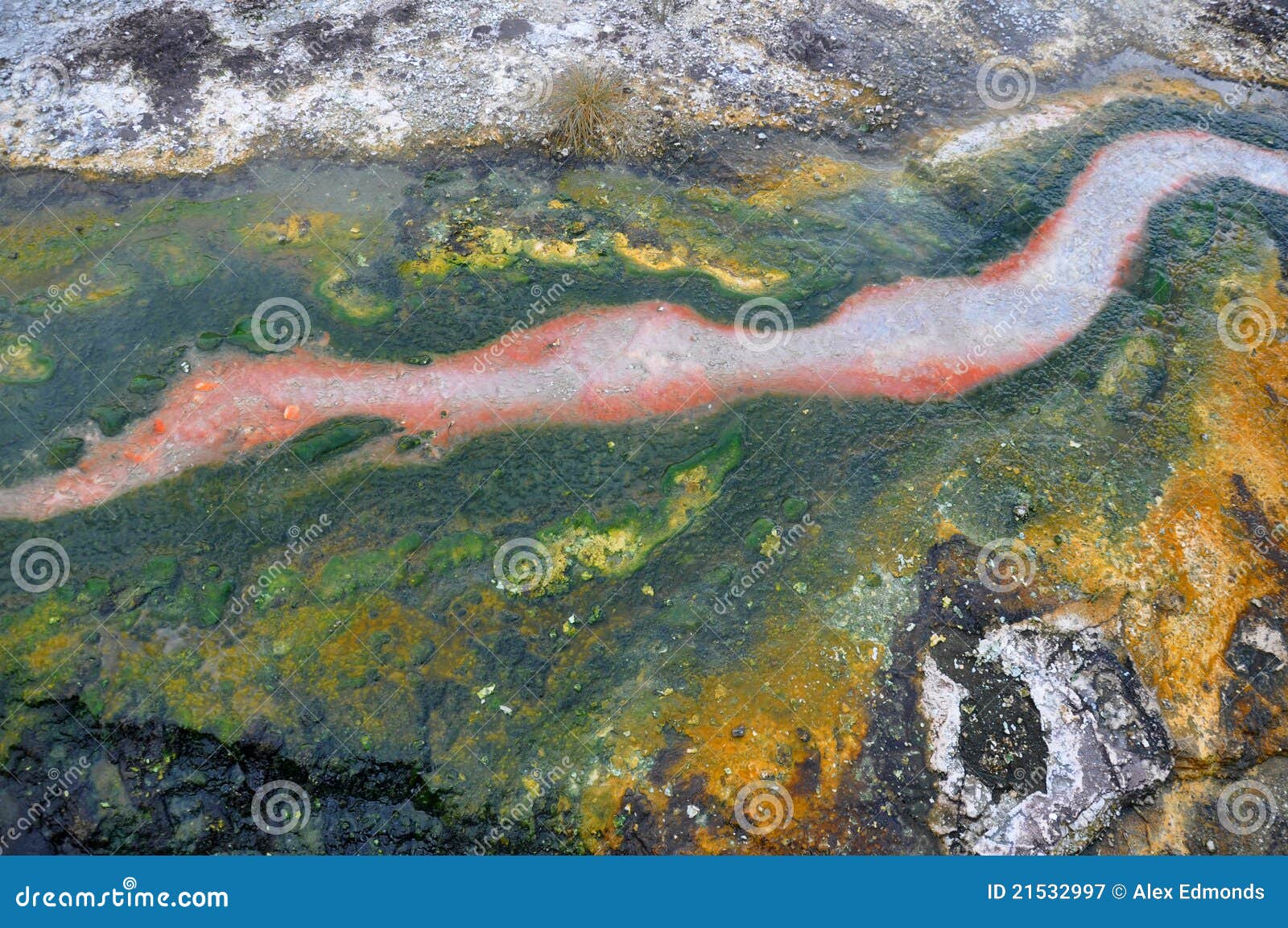 Sulphur Spring stock image. Image of spectacular, rotorua - 21532997