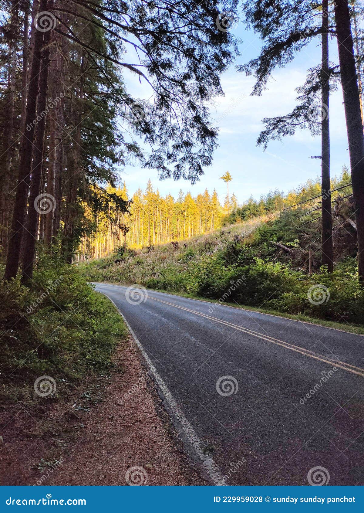 Sultan Basin Rd ,Sultan Washington Stock Photo - Image of highway, road: 229959028