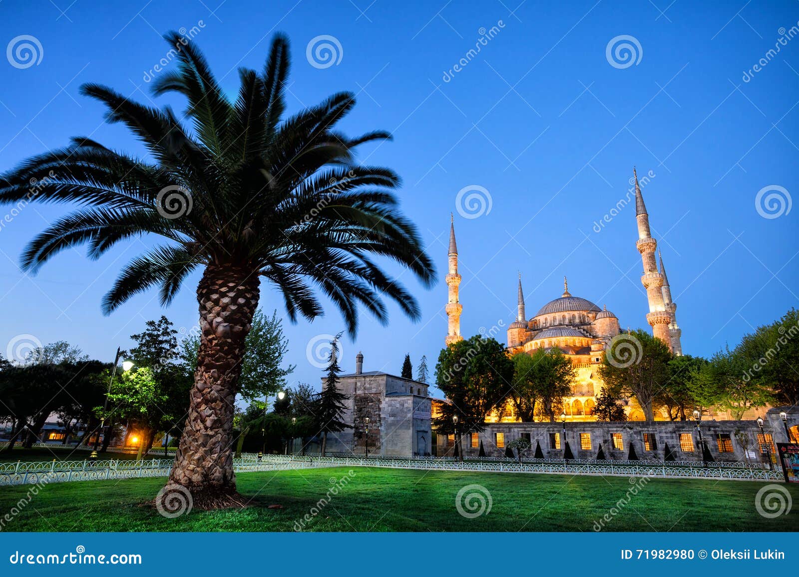 Sultanahmet Mosque Sultanahmet Mosque with Palm Tree Stock Photo ...