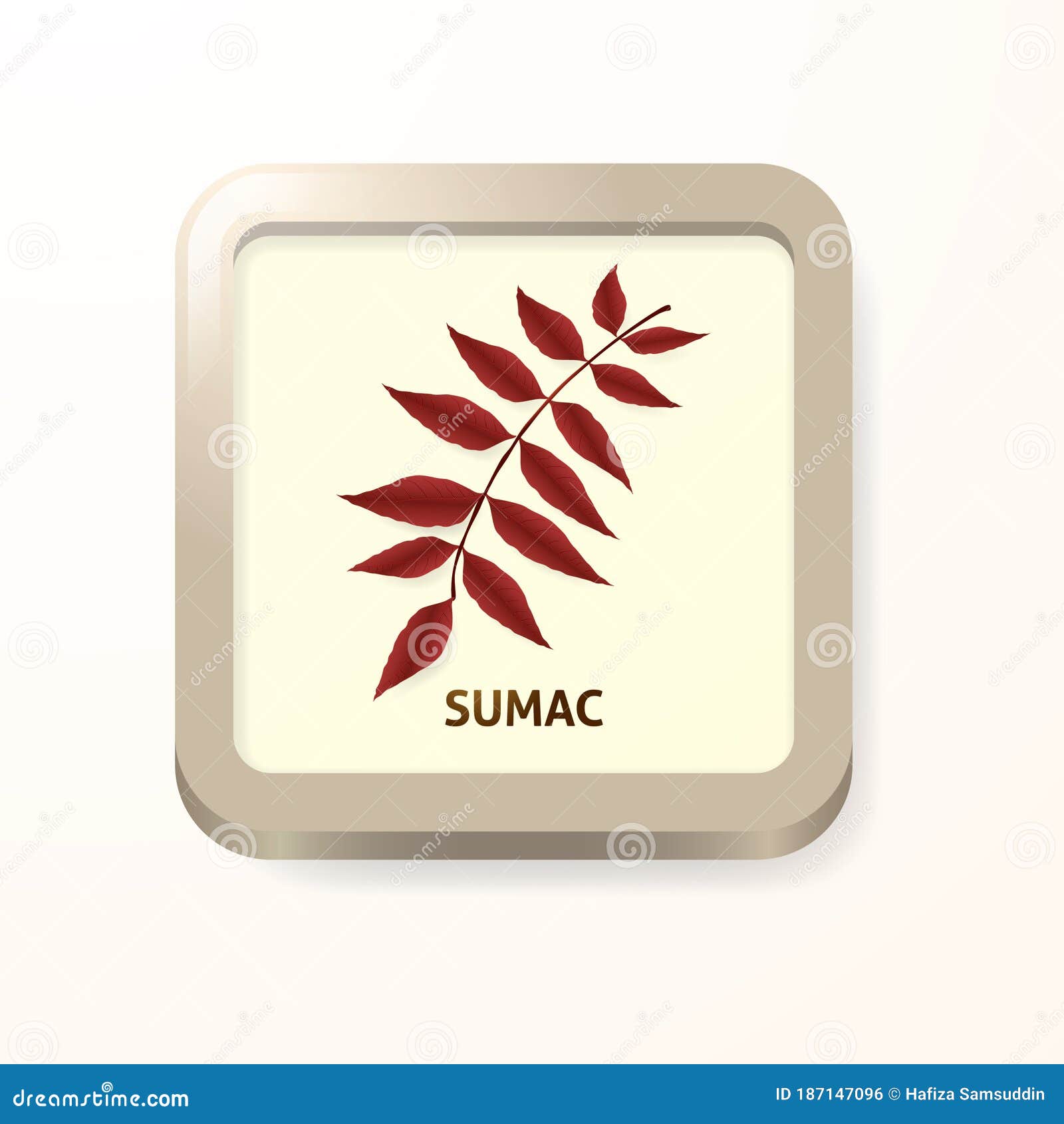 Sumac Leaf. Vector Illustration Decorative Design Stock Vector ...