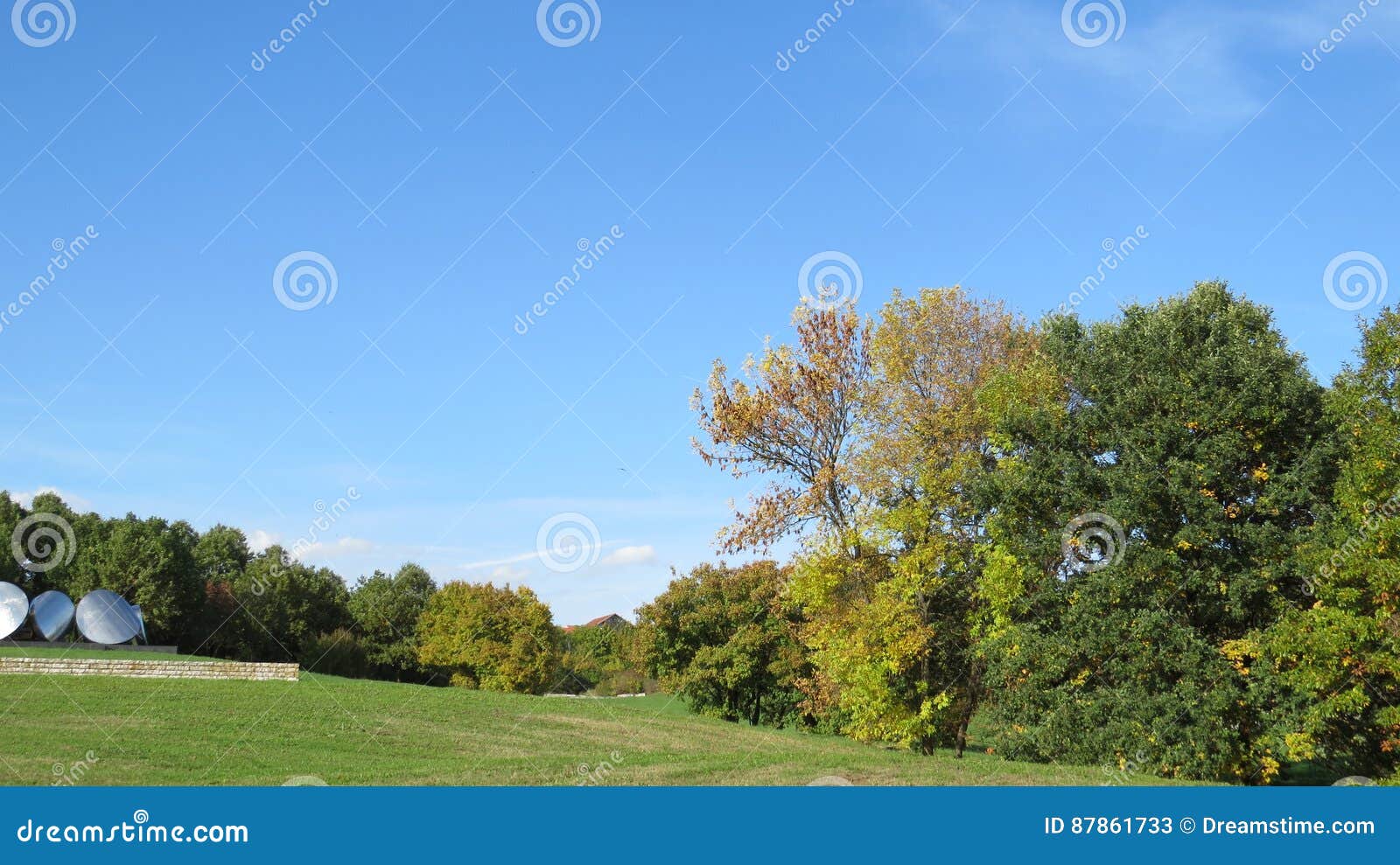 Sumarice stock image. Image of sumarice, park, serbia - 87861733