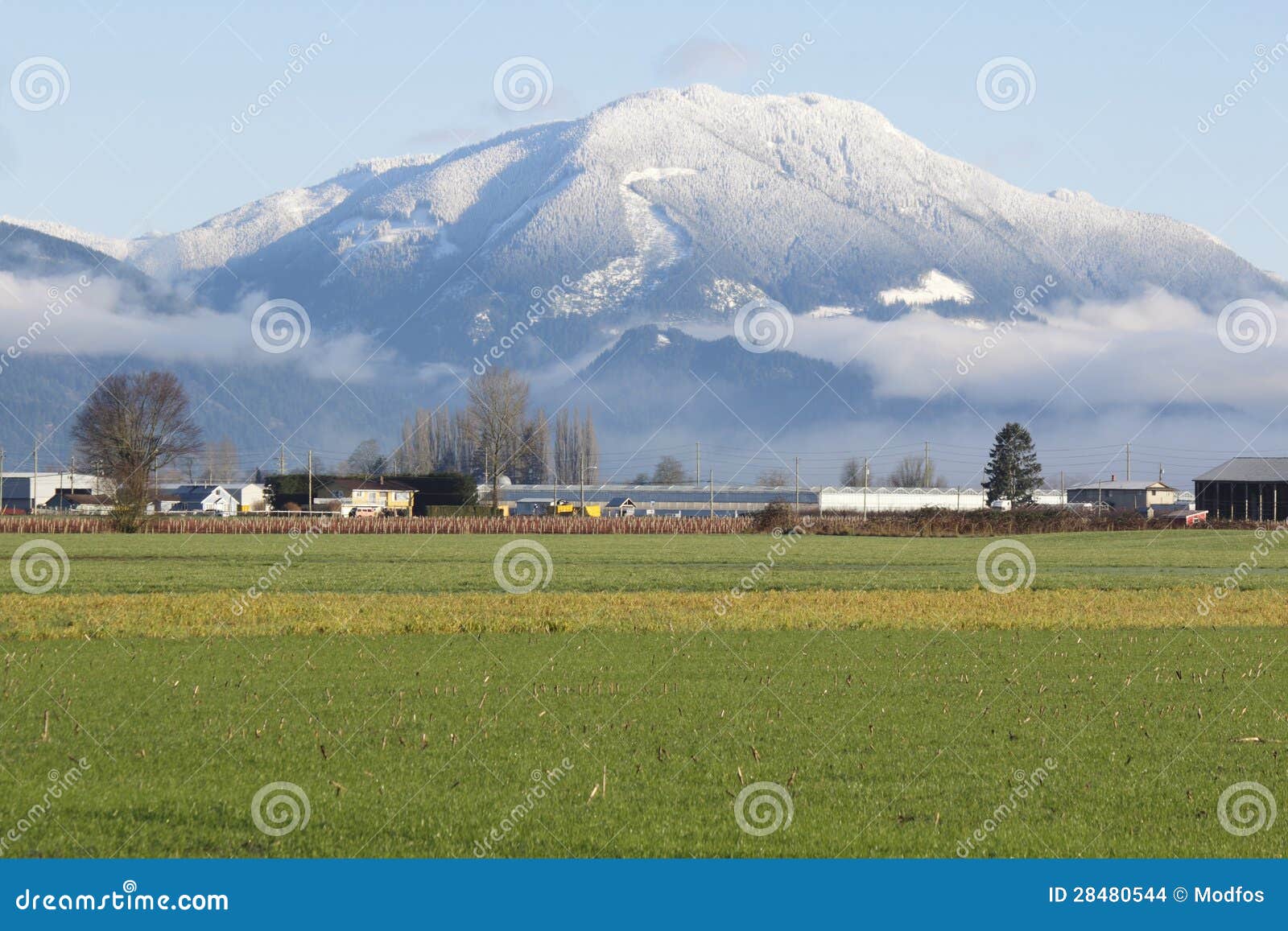 Sumas Mountain stock photo. Image of state, fraser, bread - 28480544