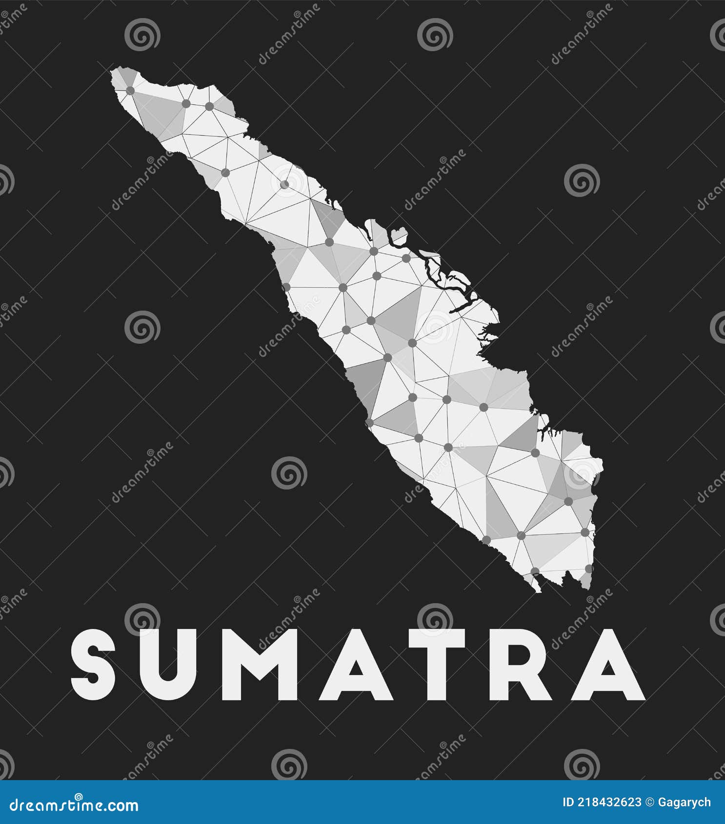 Sumatra Digital Map. Cartoon Vector | CartoonDealer.com #183708323