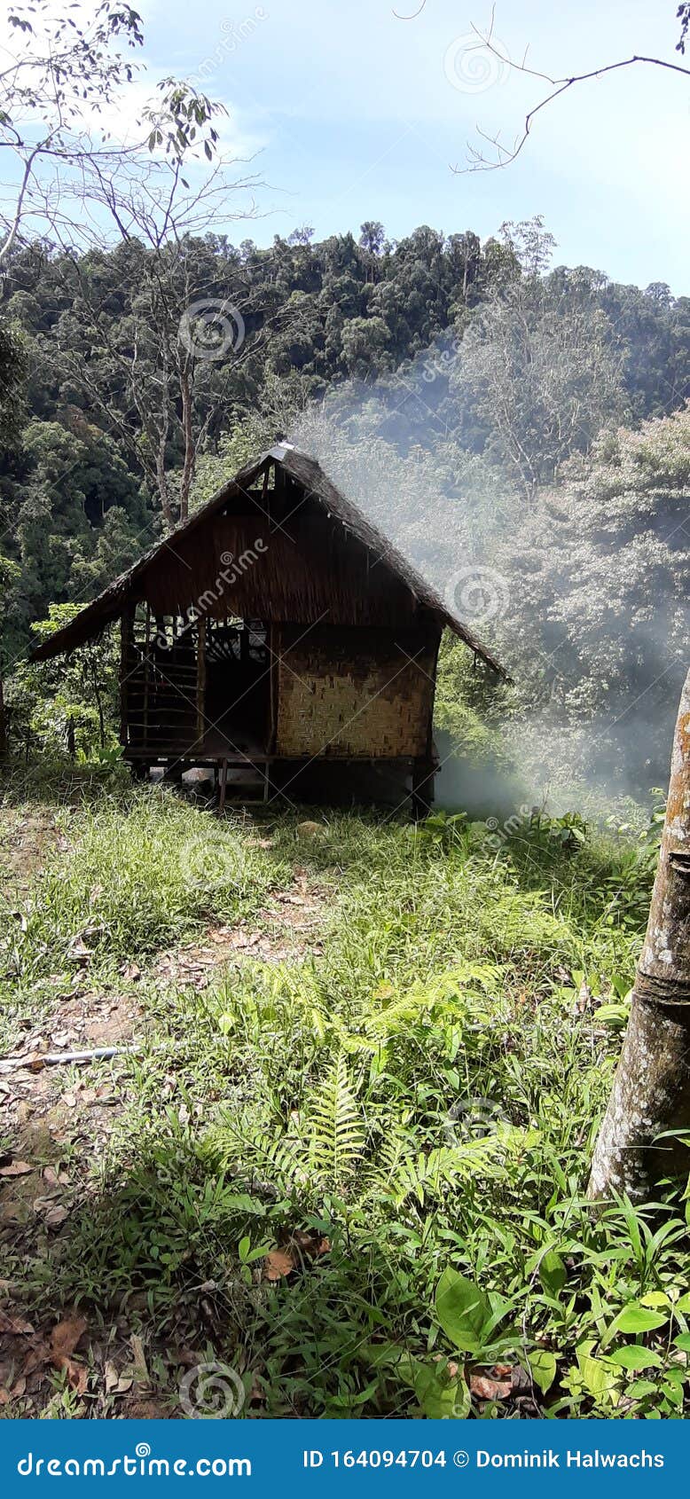 Sumatra Jungle Tour stock photo. Image of treehouse - 164094704