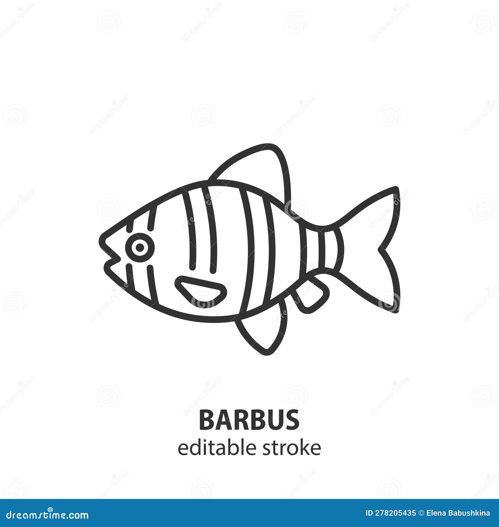 Barb Fish Vector Illustration Transparent Background Royalty-Free ...