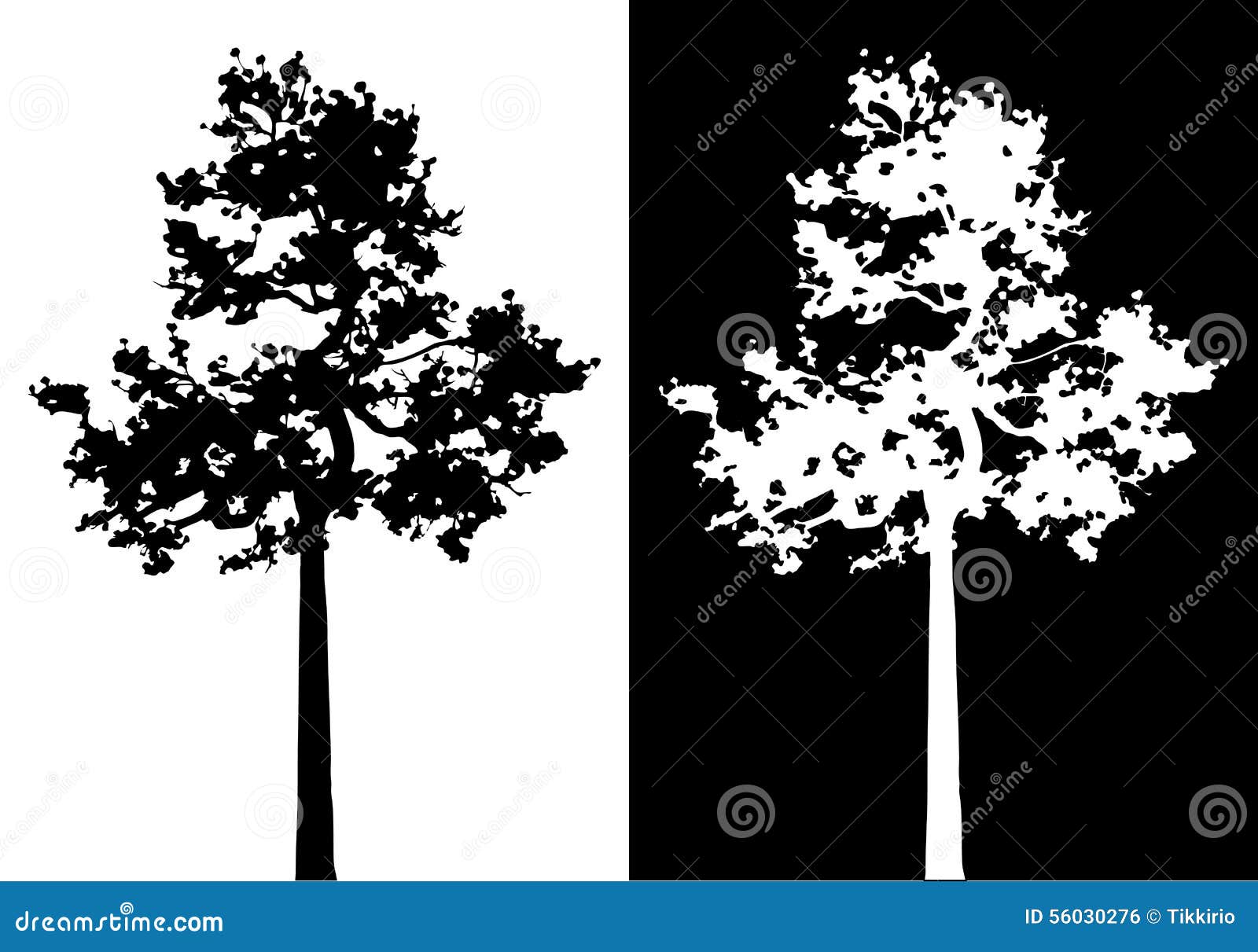 Sumatran Pine Tree Silhouette. Stock Vector - Illustration of nature ...
