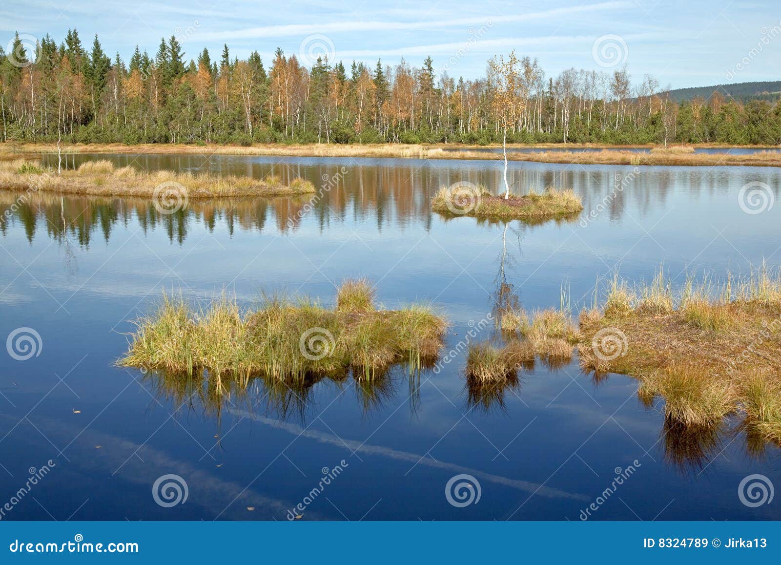 Sumava Mountains, Czech Republic Stock Image - Image of moor, trees ...