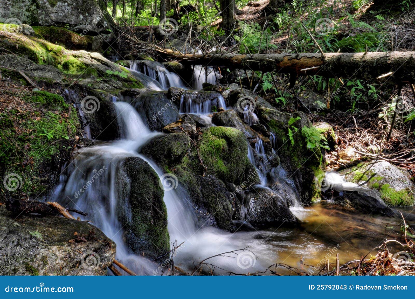 Sumava stream stock image. Image of beautiful, brooke - 25792043