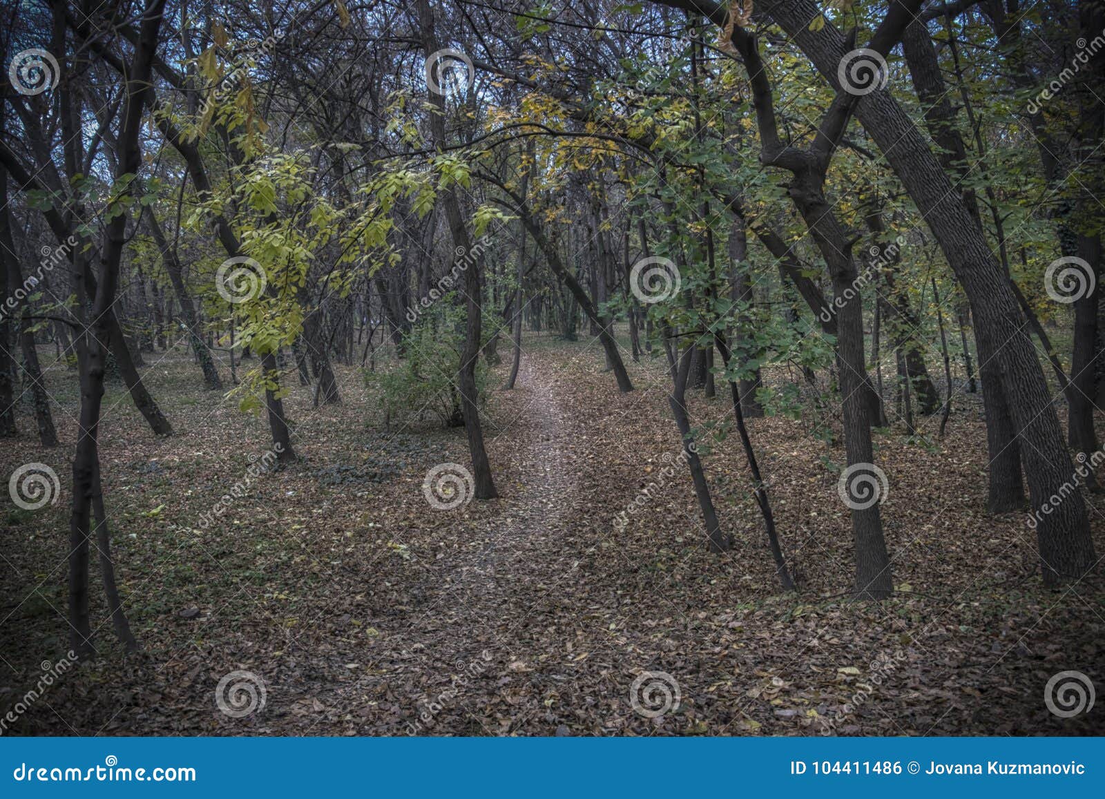 Sumice Park Photos - Free & Royalty-Free Stock Photos from Dreamstime