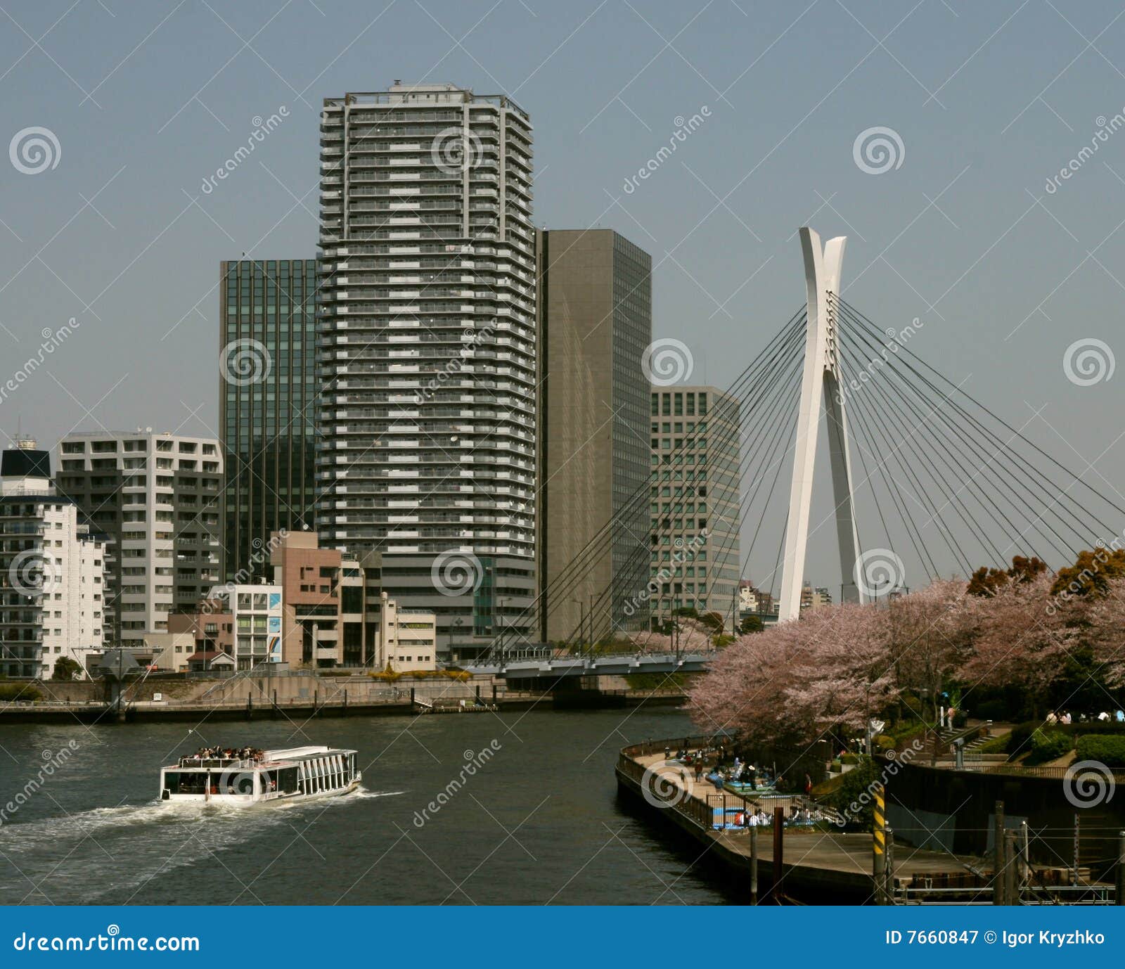 Sumida Ku Ansicht stockbild. Bild von japan, asien, tokio - 7660847
