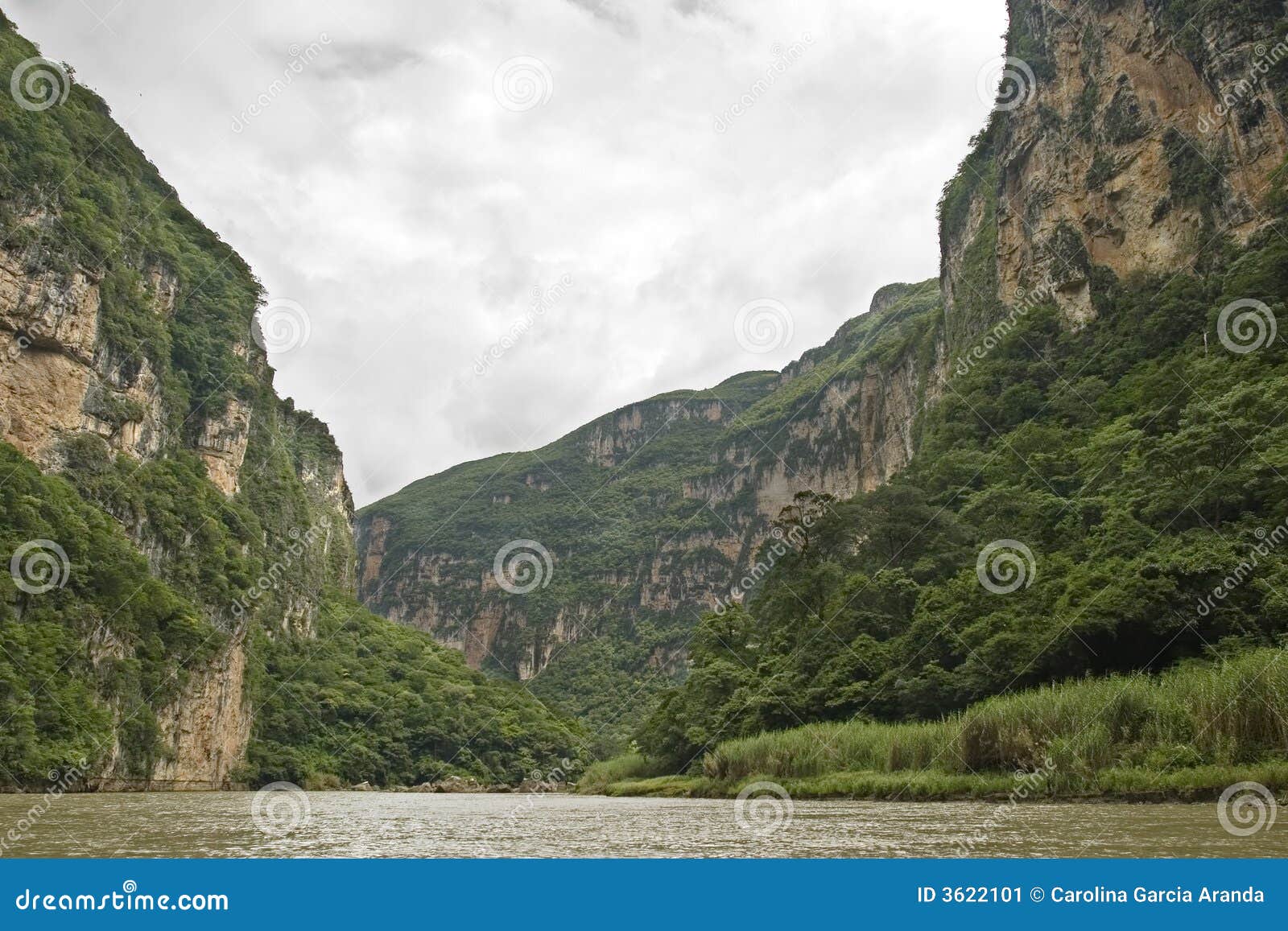 Sumidero Canyon stock image. Image of freshness, forest - 3622101