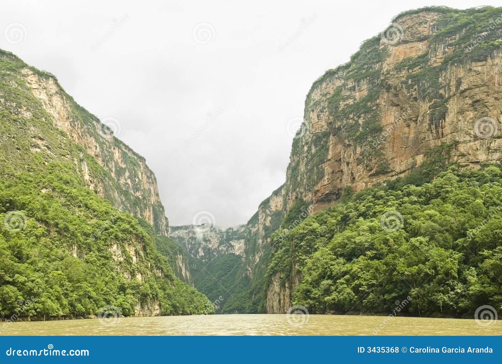 Sumidero Canyon Mexico stock photo. Image of leaf, hiking - 3435368