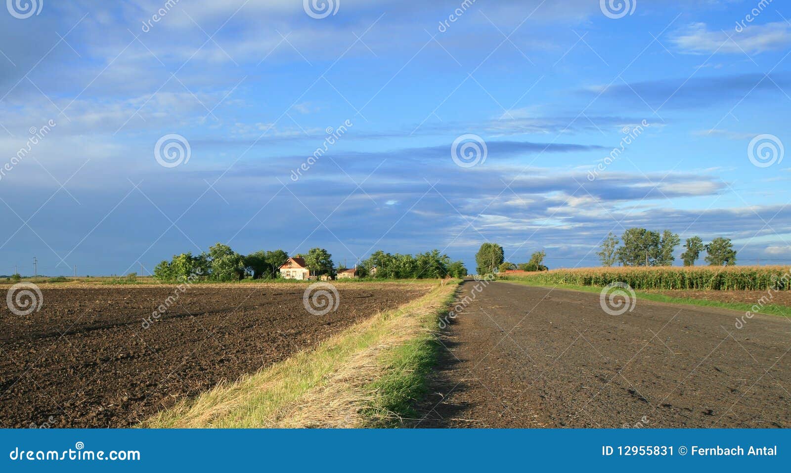 Summer stock image. Image of summer, brick, bright, door - 12955831