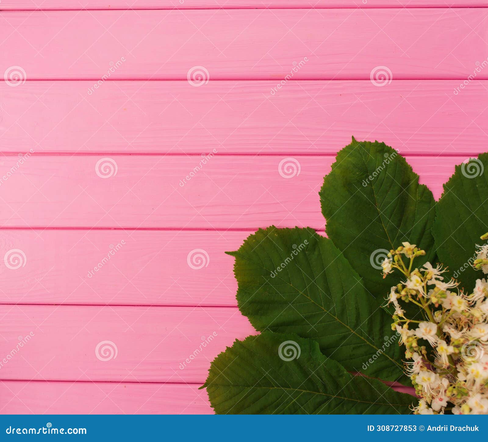Summer Abstract Background Mockup Template Corners Flowers Borders ...