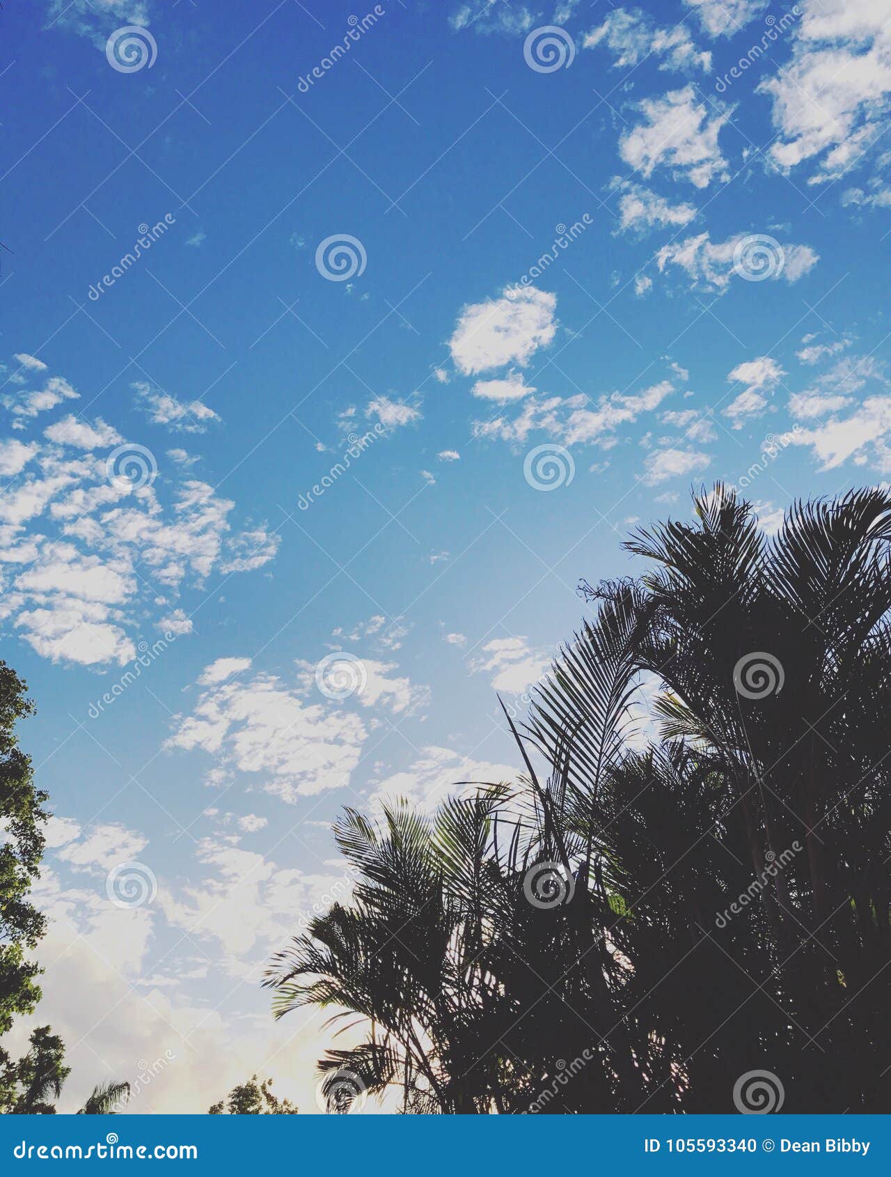 Summer air stock photo. Image of australia, beach, holiday - 105593340