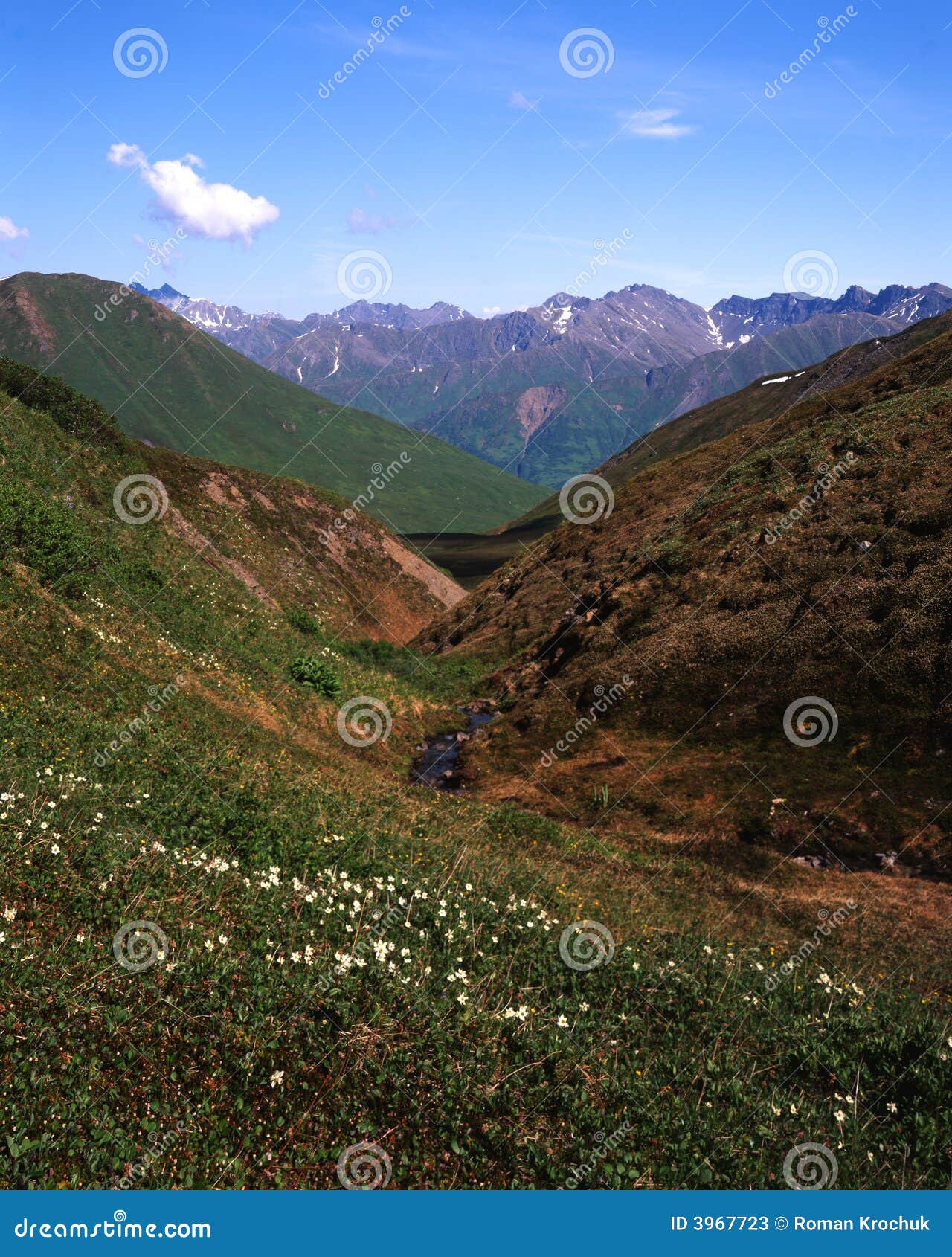 Summerscape Stock Photos - Free & Royalty-Free Stock Photos from Dreamstime