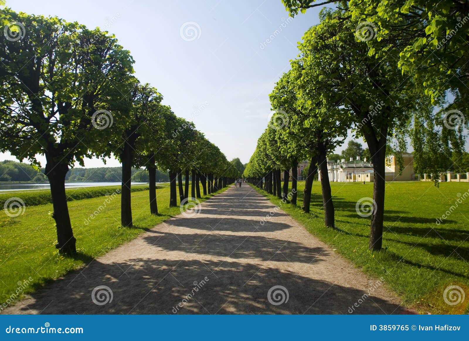 Summer alley stock image. Image of moving, colorful, green - 3859765