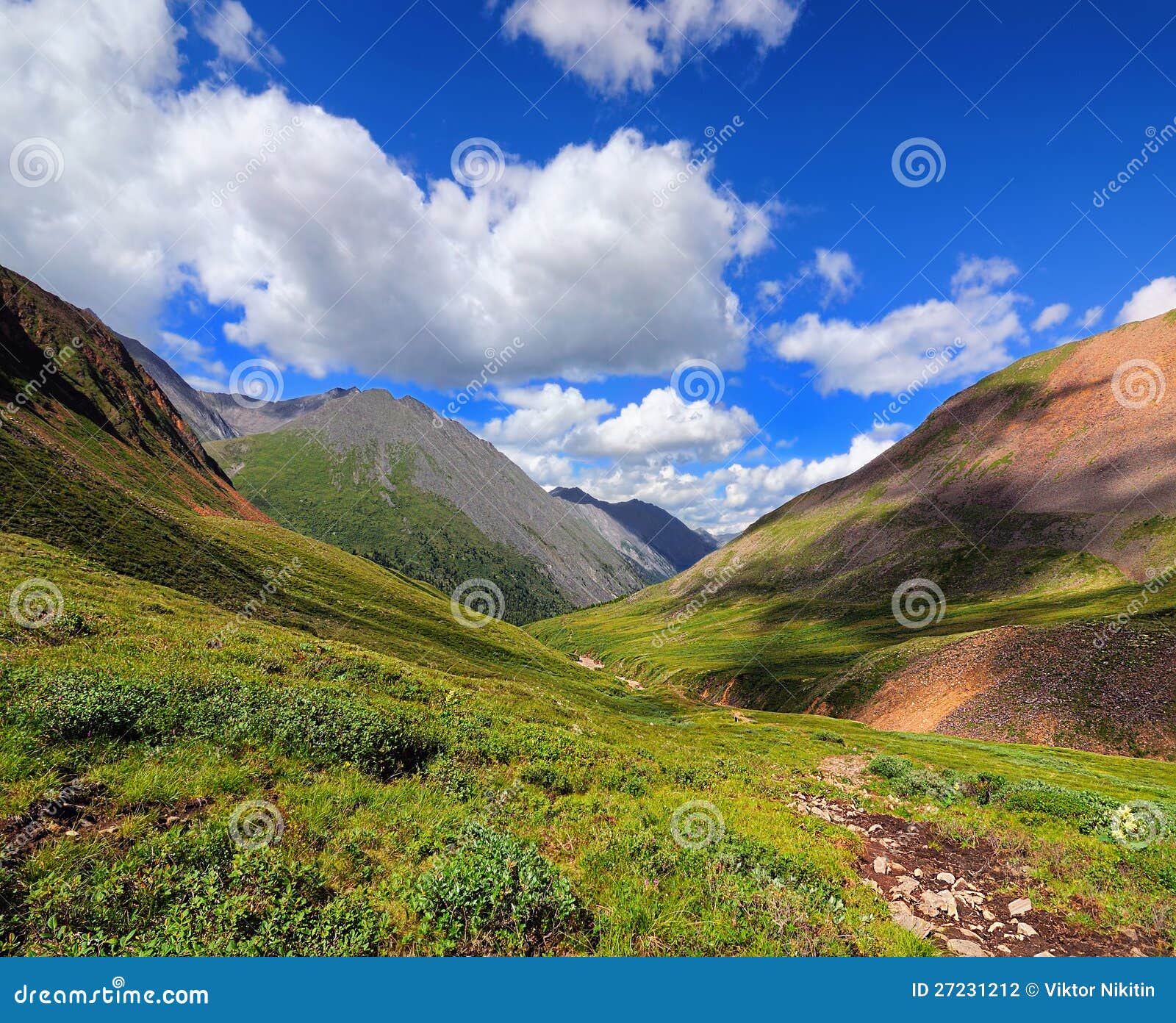 Summer alpine meadow stock photo. Image of peak, scenic - 27231212