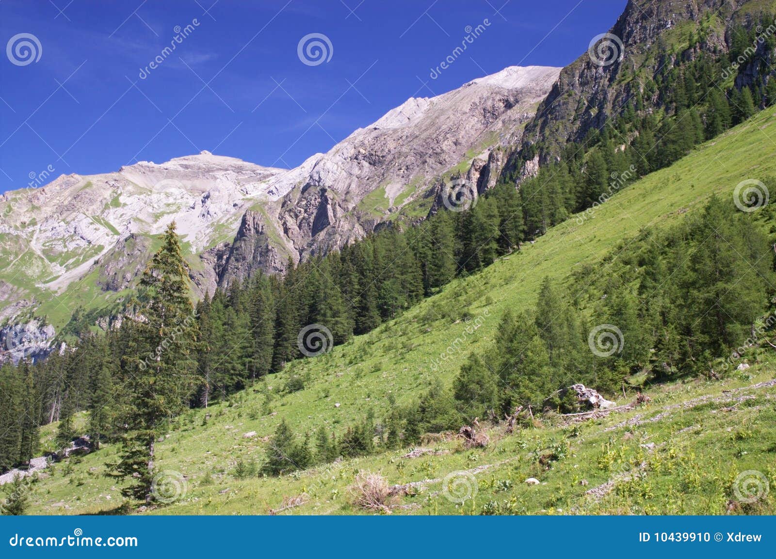 Summer Alpine Mountain Landscape Stock Photo - Image of huge, climbing ...