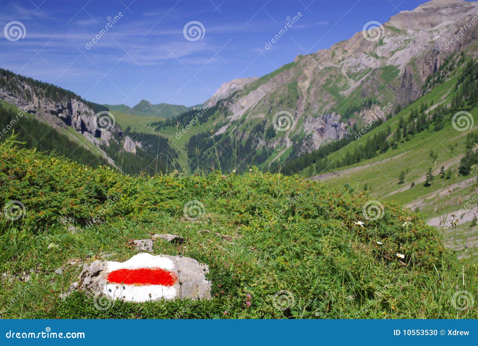 Summer alpine mountains stock photo. Image of italy, alpine - 10553530