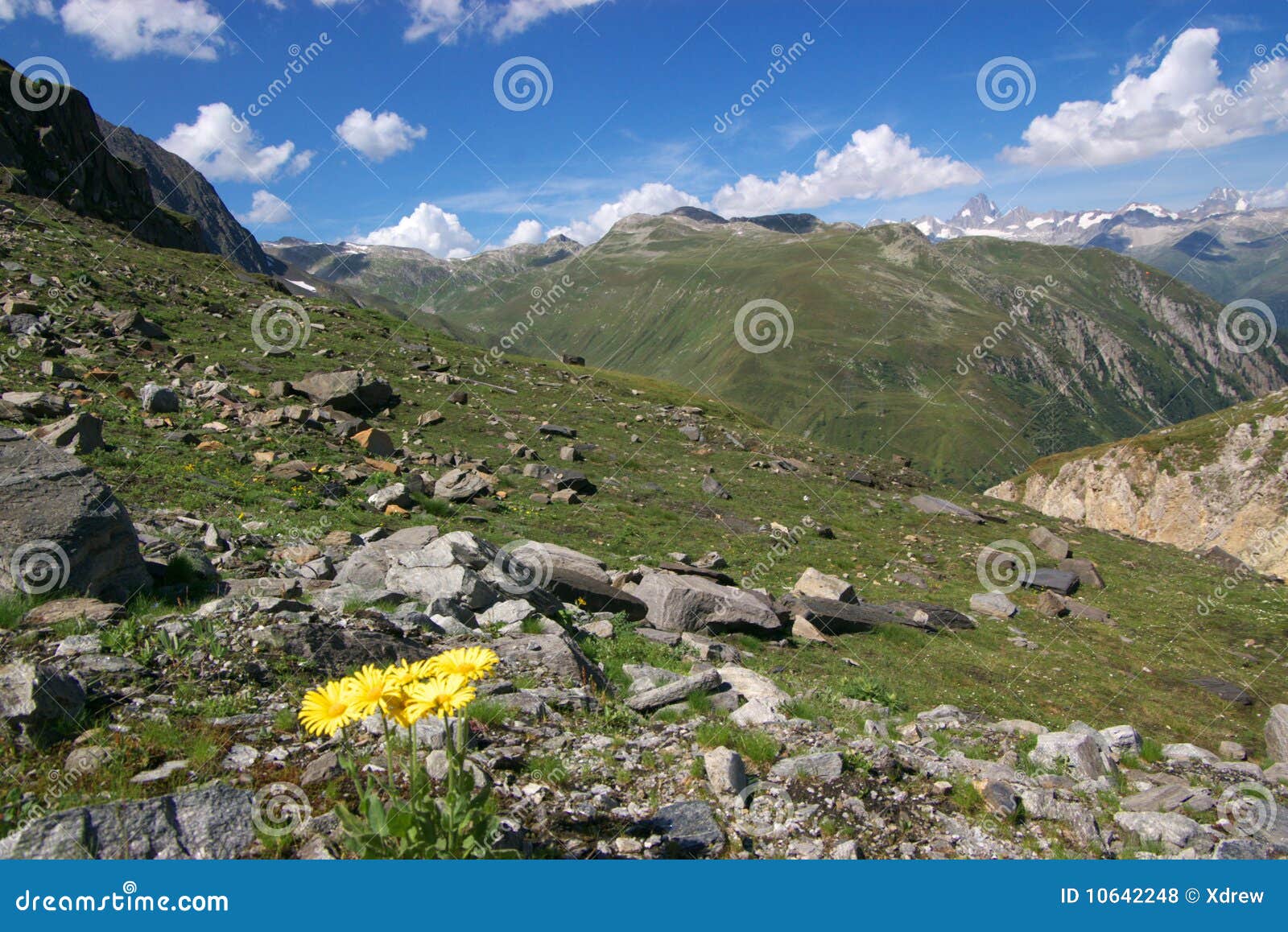 Summer alpine mountains stock photo. Image of group, mountainous - 10642248