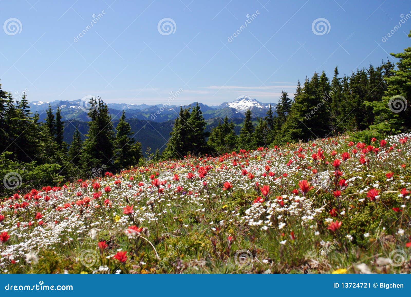 Summer alpine view stock image. Image of baker, moon - 13724721