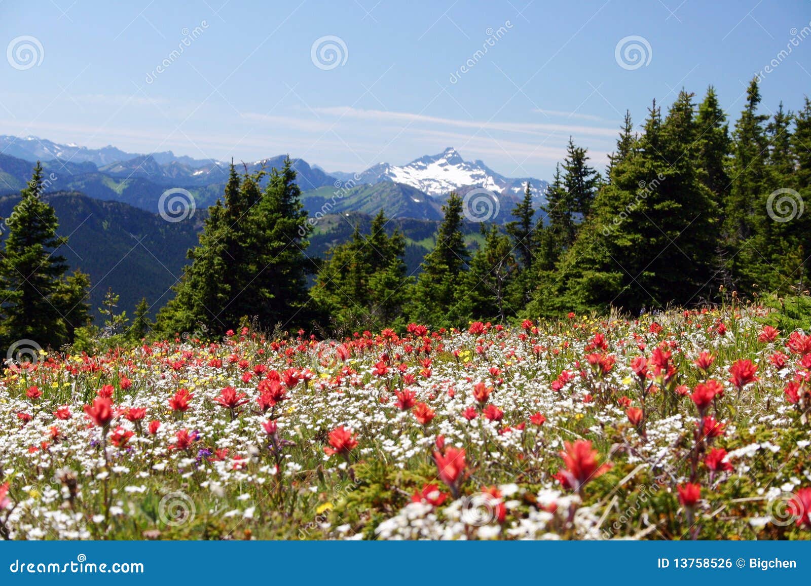 Summer alpine view stock photo. Image of river, moon - 13758526