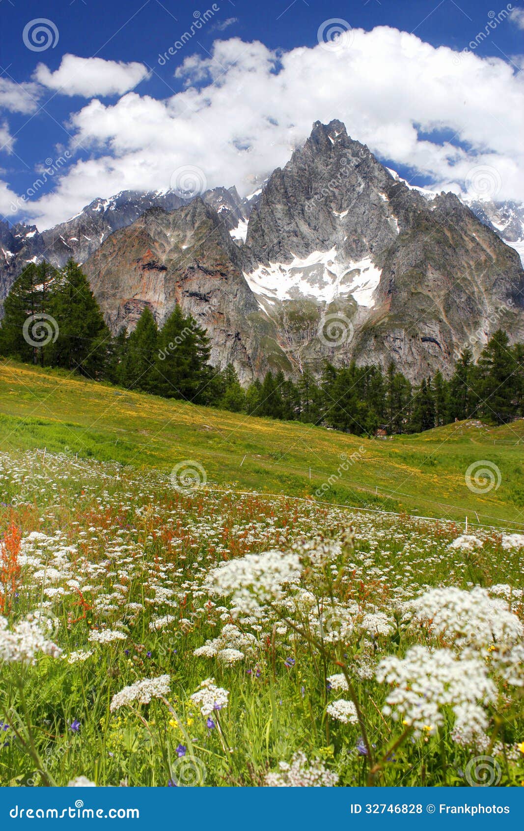 Summer in the Alps stock photo. Image of alps, pasture - 32746828