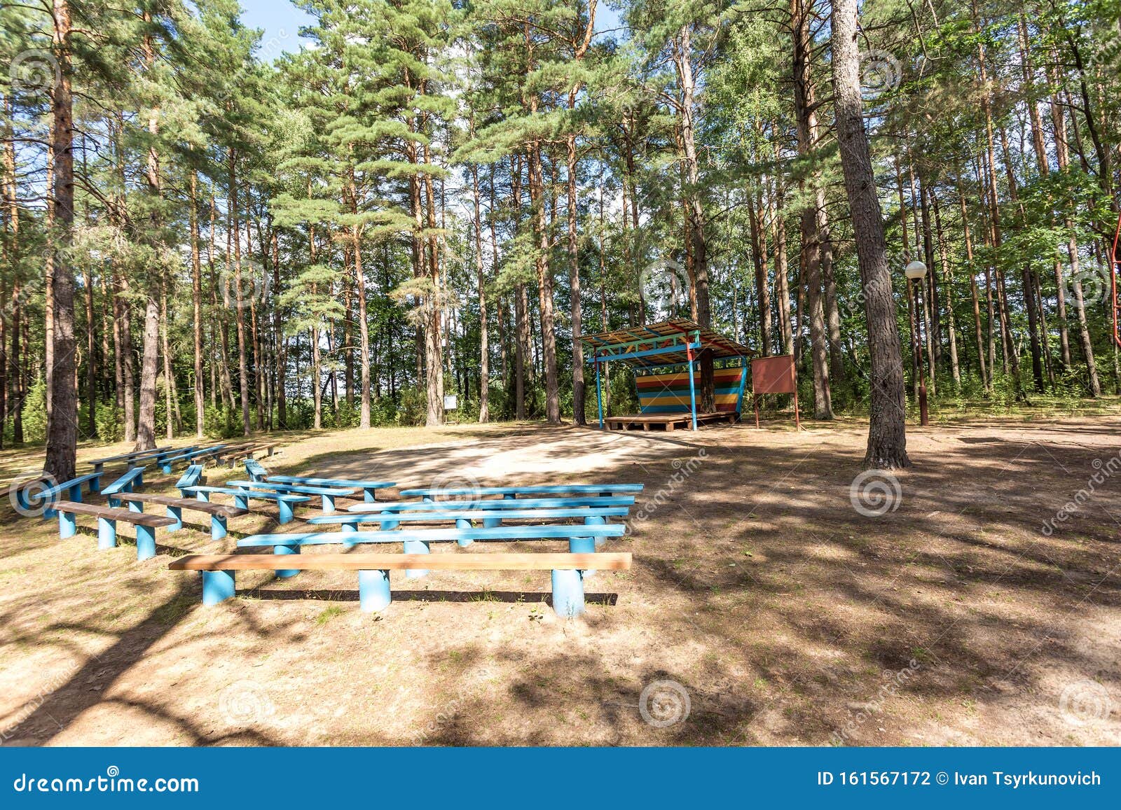 Summer Amphitheater in the Pinery Forest with Colored Benches Stock ...