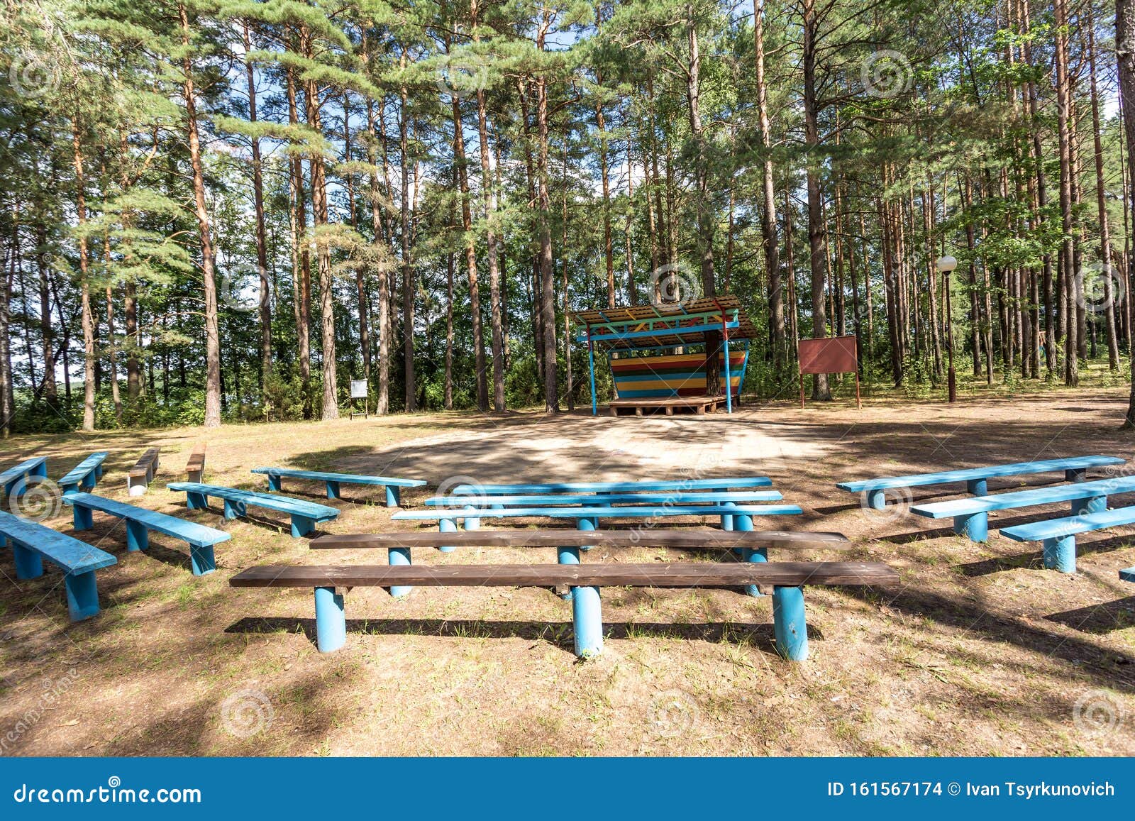 Summer Amphitheater In The Pinery Forest With Colored Benches Royalty ...