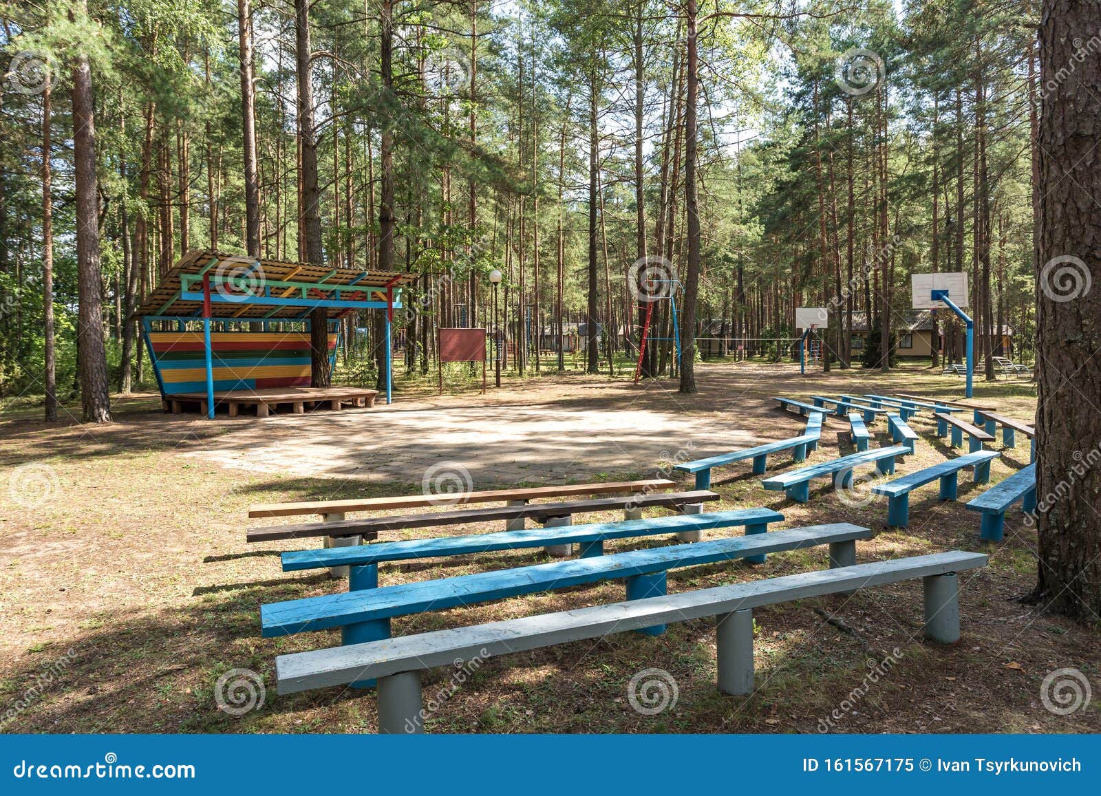 Summer Amphitheater in the Pinery Forest with Colored Benches Stock ...