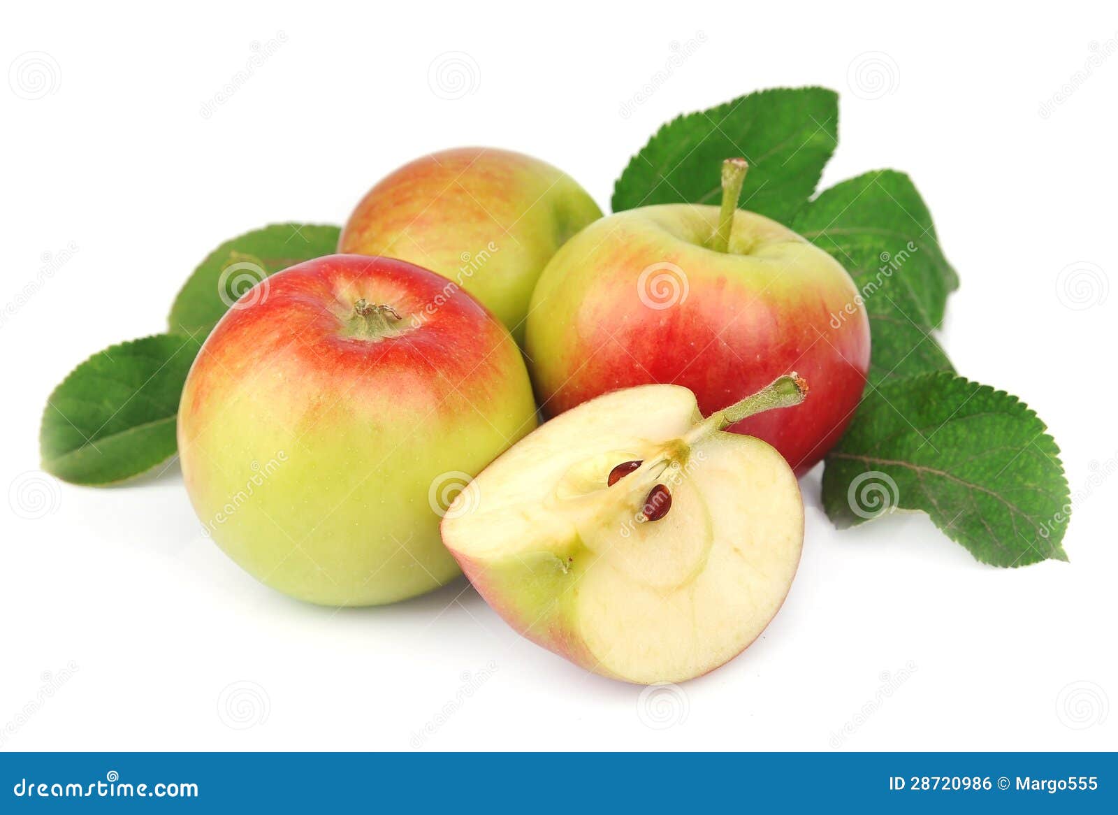 Summer apple fruits stock photo. Image of healthy, nutrition - 28720986