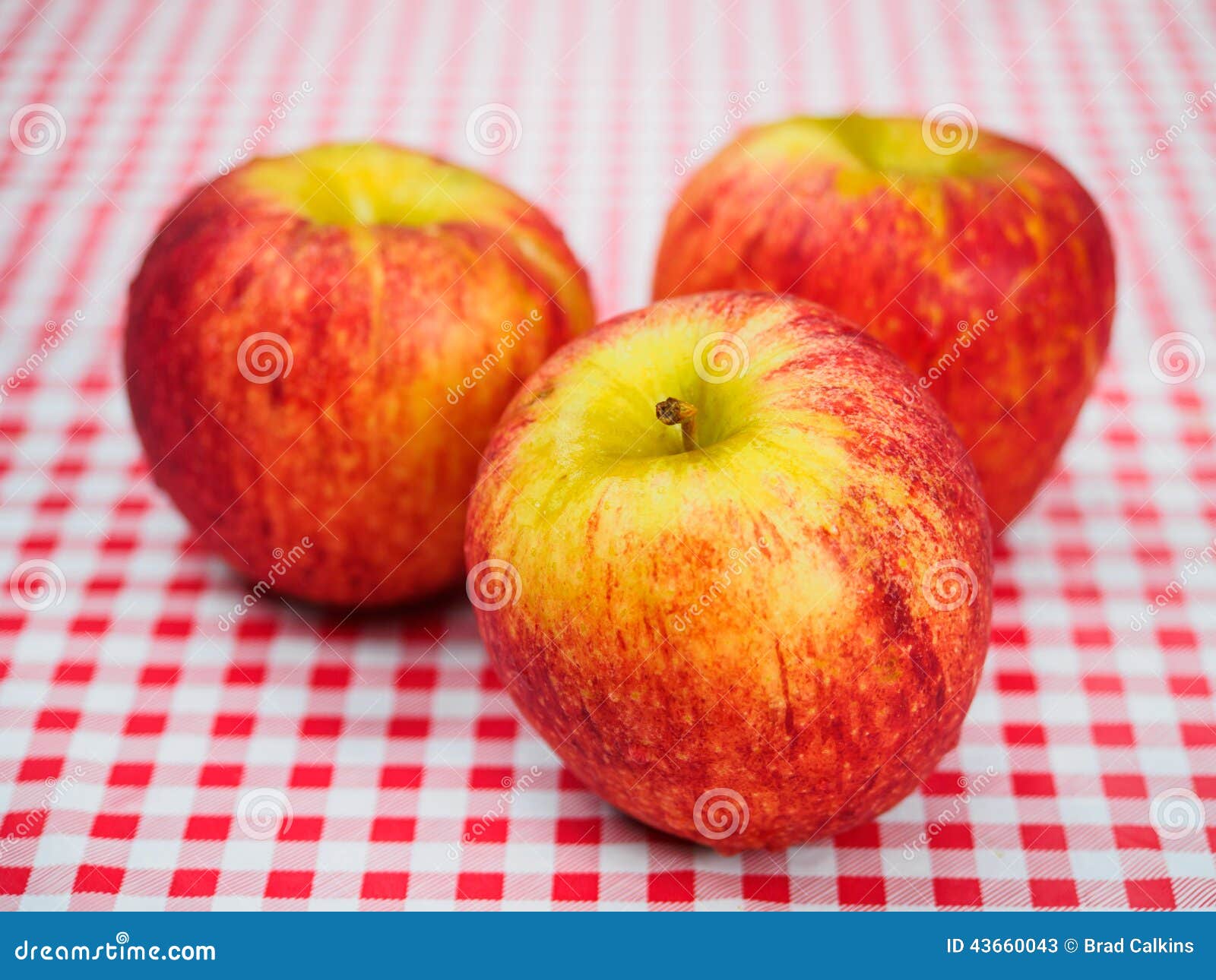 Summer apples stock image. Image of tablecloth, summer - 43660043