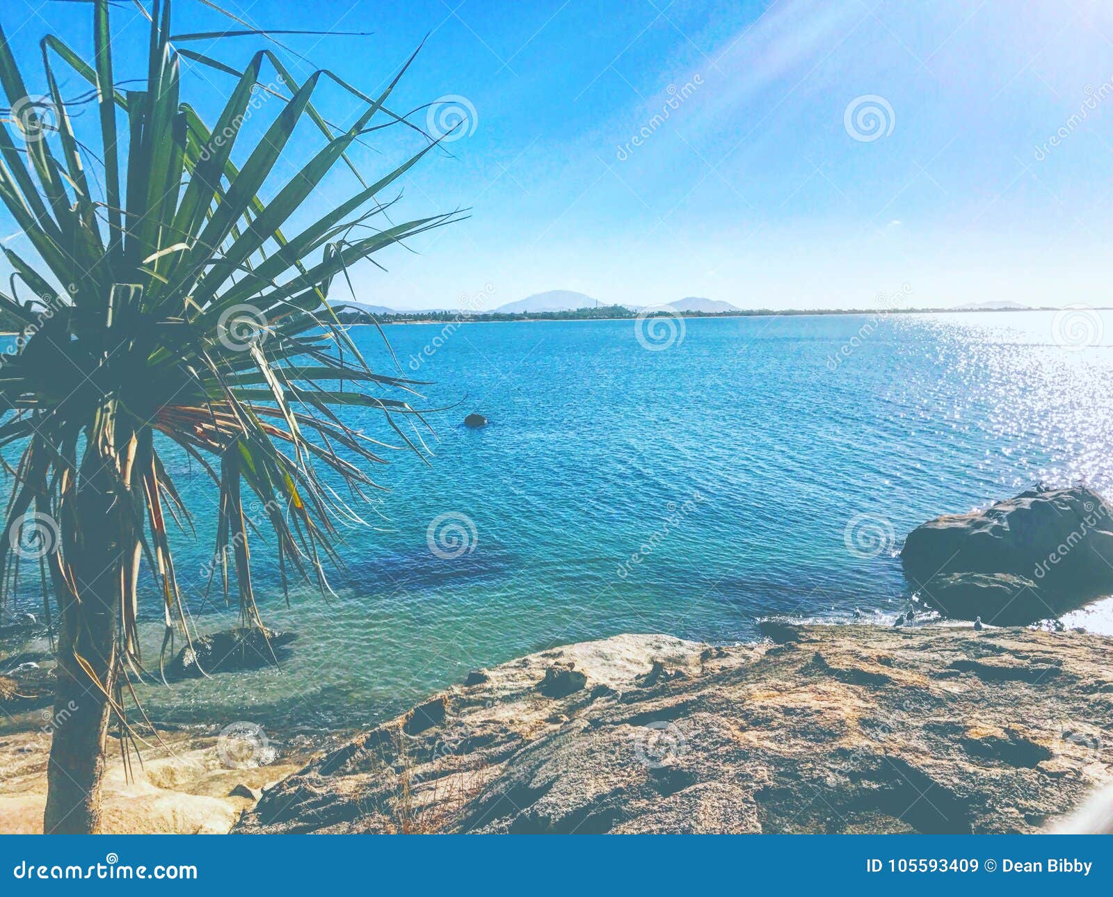 Beach life stock image. Image of beachlife, life, australia - 105593409