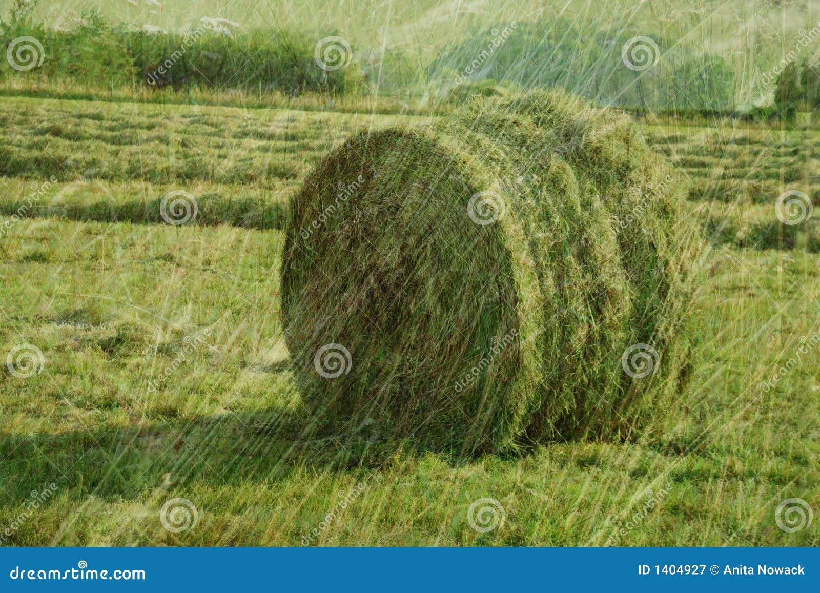 Summer autumn hay stock image. Image of land, farmland - 1404927