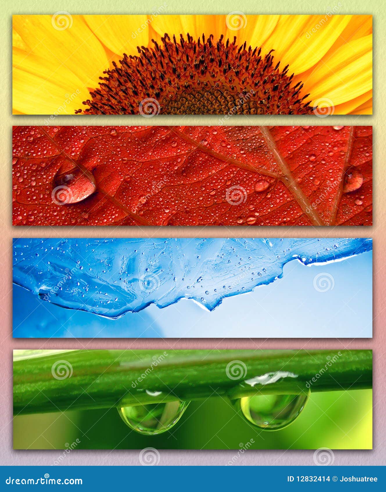Summer, Autumn, Winter, Spring Stock Photo - Image of colorful, four ...