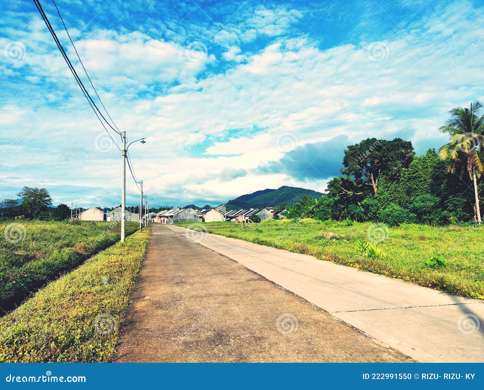 Summer is back stock photo. Image of summer, clouds - 222991550