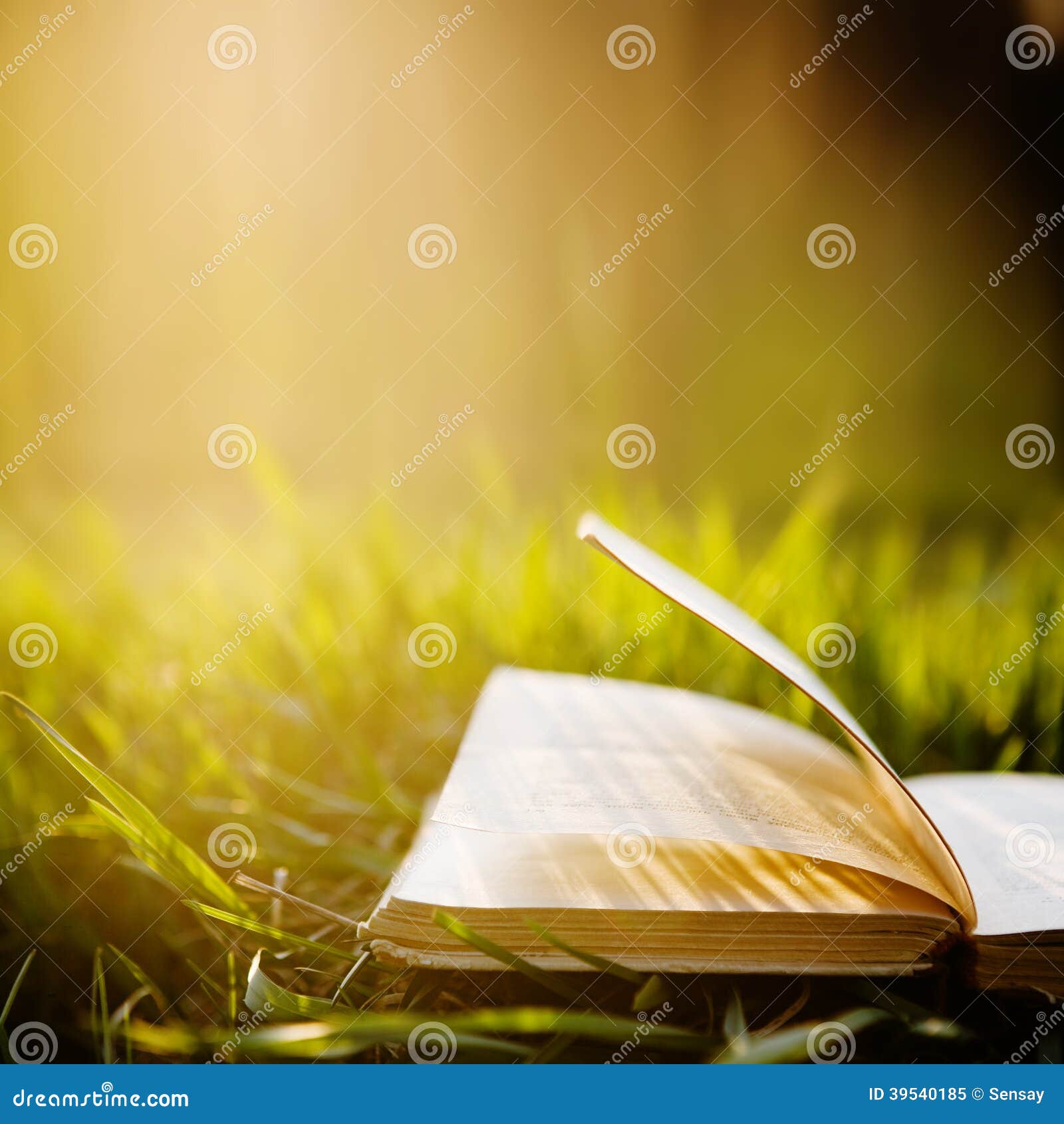 Summer Backgound with Open Book Stock Image - Image of antique ...