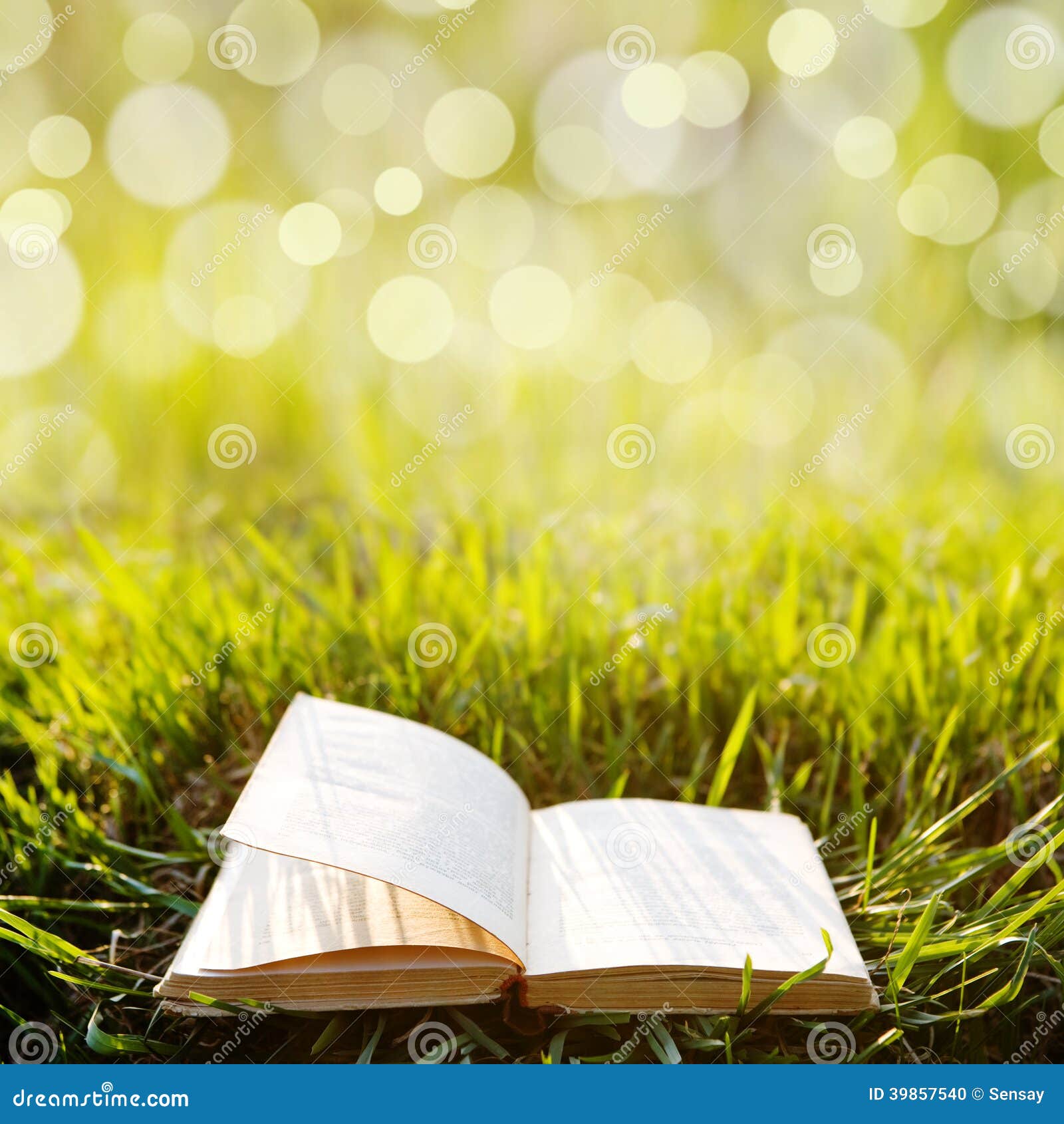 Summer Backgound with Open Book Stock Photo - Image of environment ...