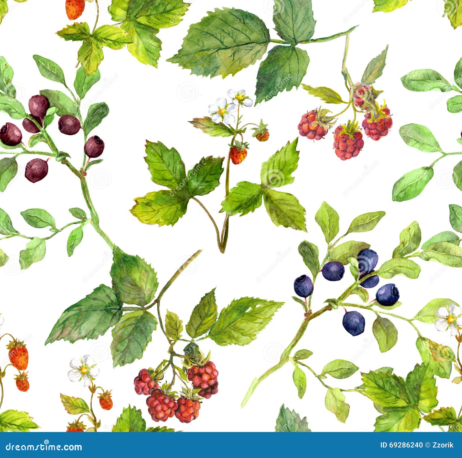 Raspberry, Strawberry Cartoons Vector Illustration | CartoonDealer.com ...