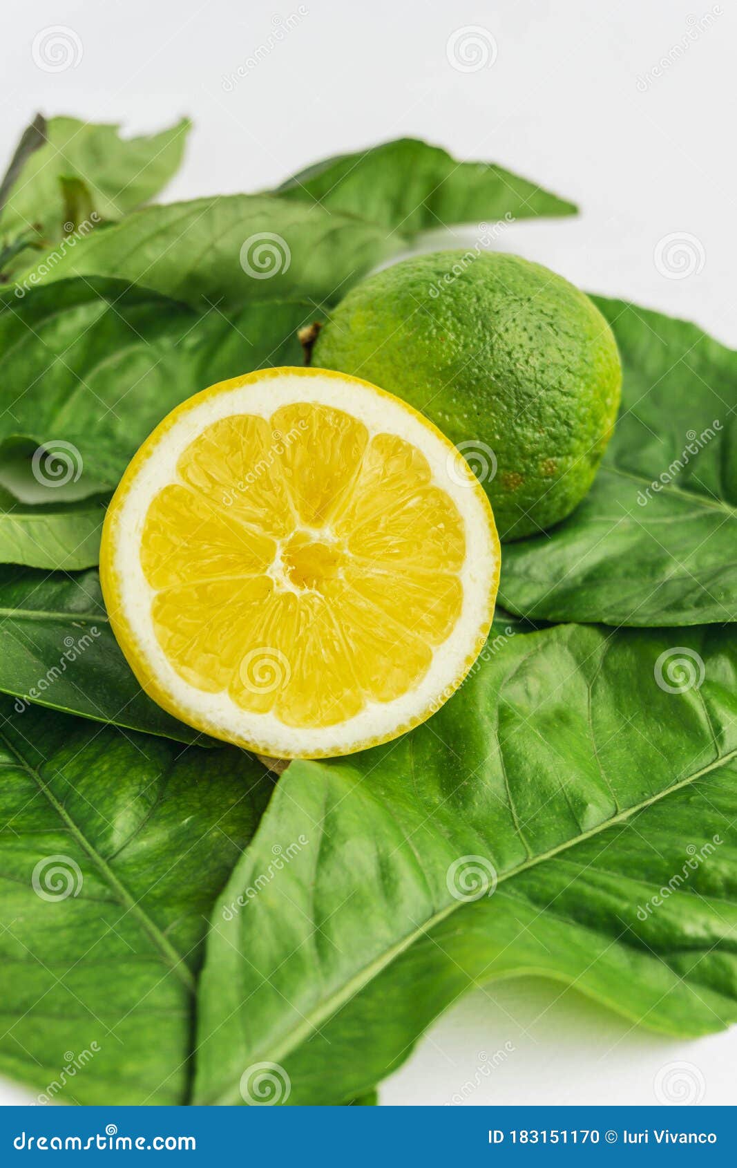 Summer Background of Half Lemon and a Lime Above Lemon Tree Leaves ...