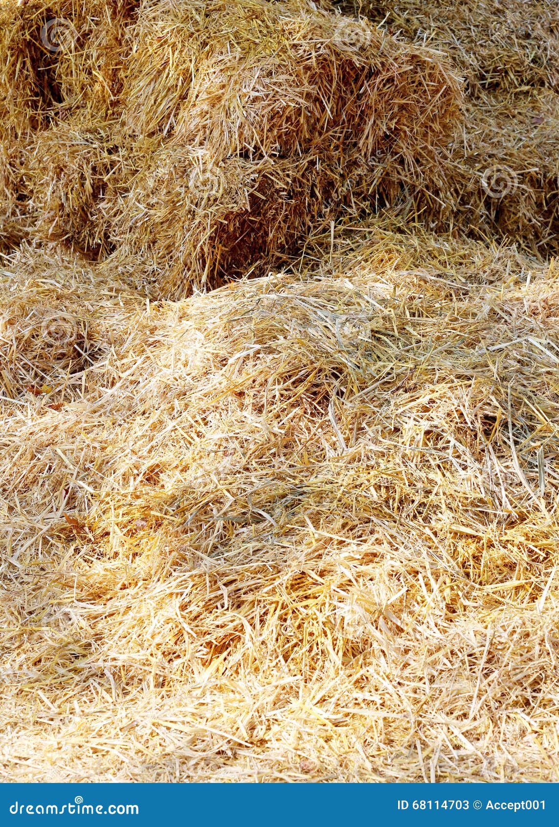 Summer Background of Hay from Stack. Haystack Closeup As a Background ...