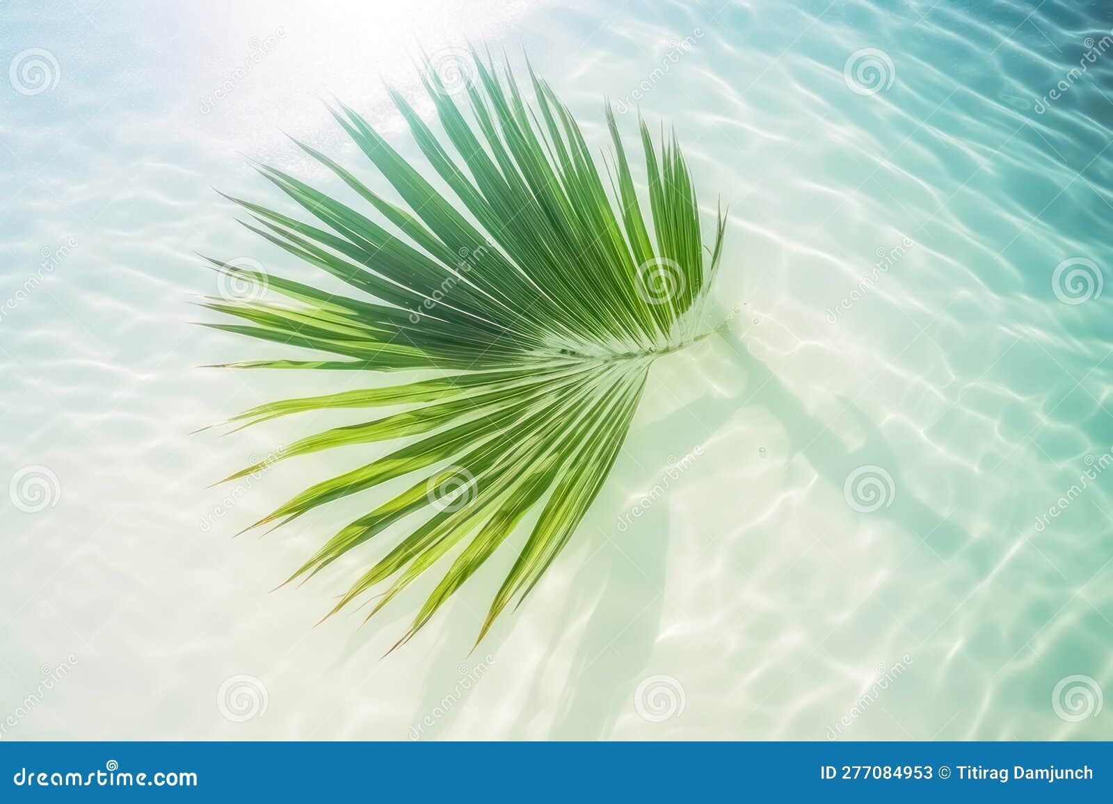 Summer Background. Palm Leaves on Wave Beach. Generative Ai Stock ...