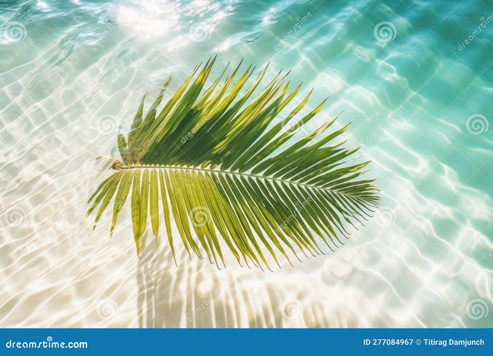 Summer Background. Palm Leaves on Wave Beach. Generative Ai Stock ...