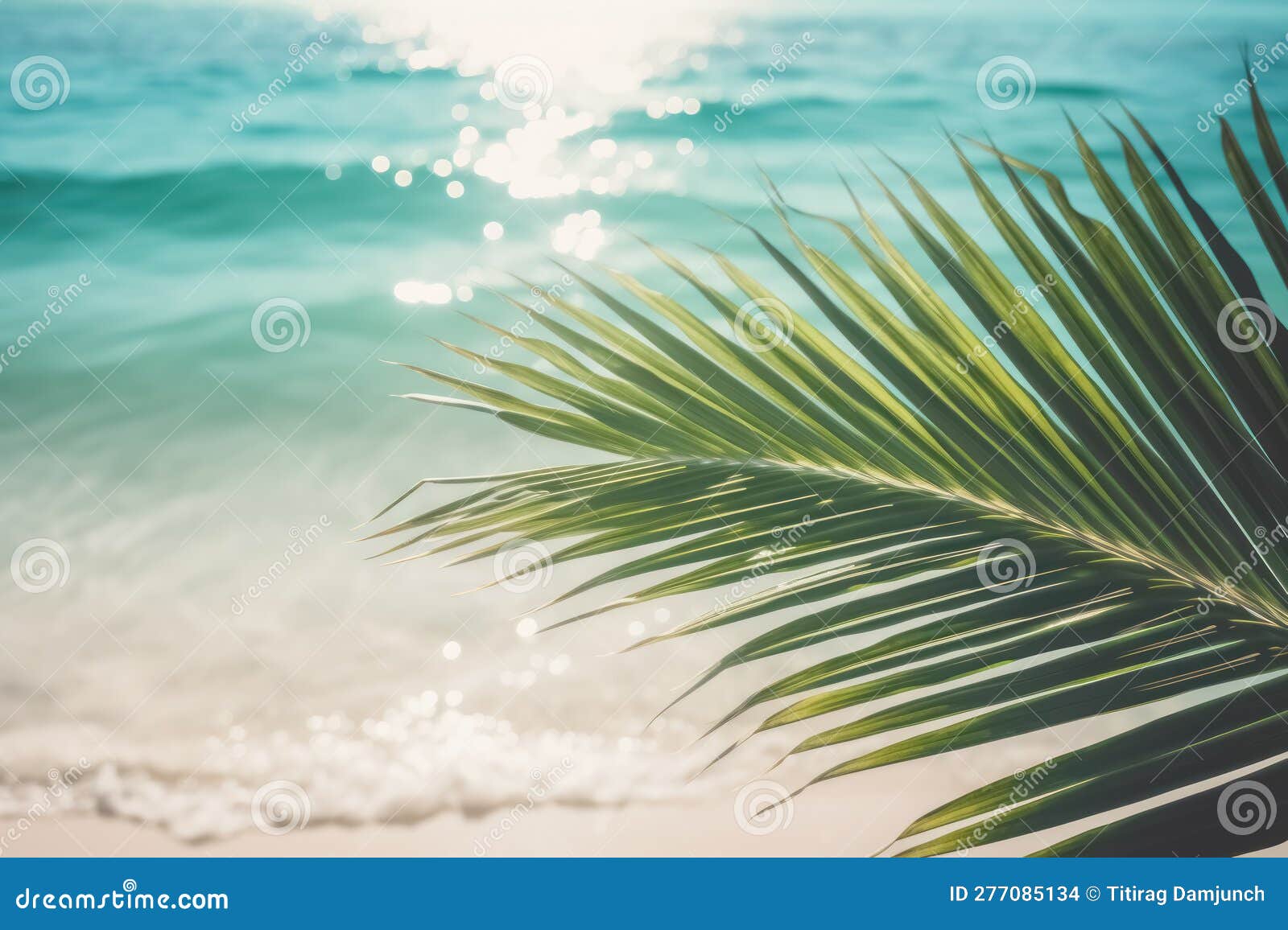 Summer Background. Palm Leaves on Wave Beach. Generative Ai Stock Photo ...