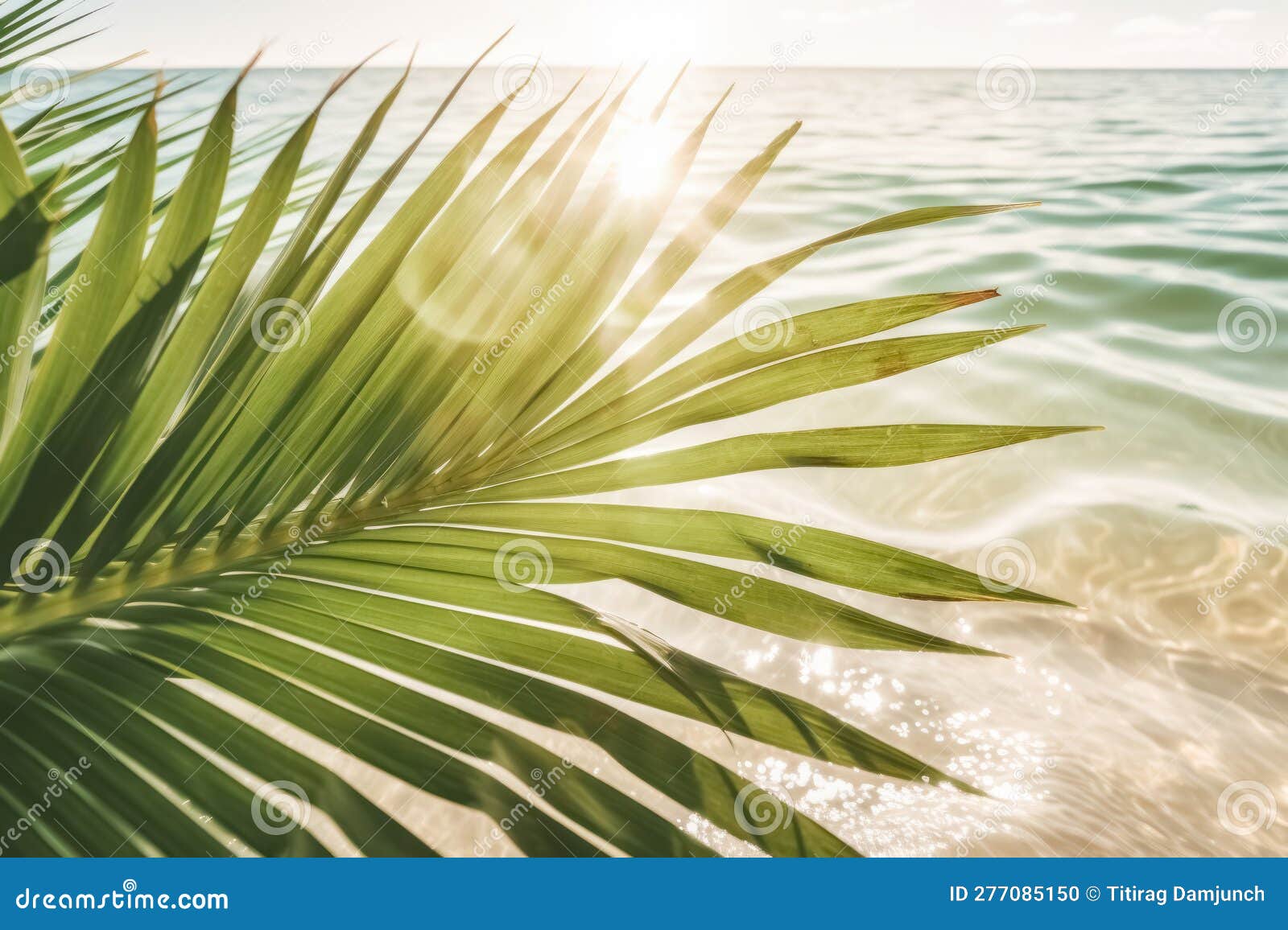 Summer Background. Palm Leaves on Wave Beach. Generative Ai Stock ...