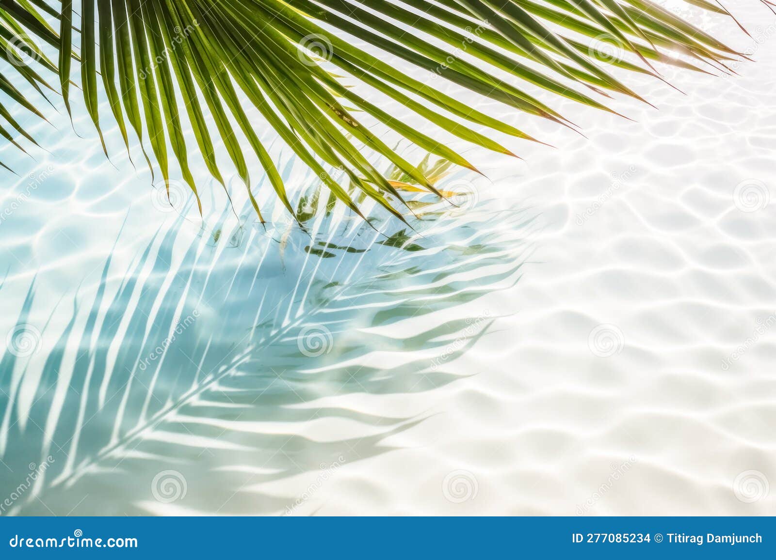 Summer Background. Palm Leaves on Wave Beach. Generative Ai Stock ...
