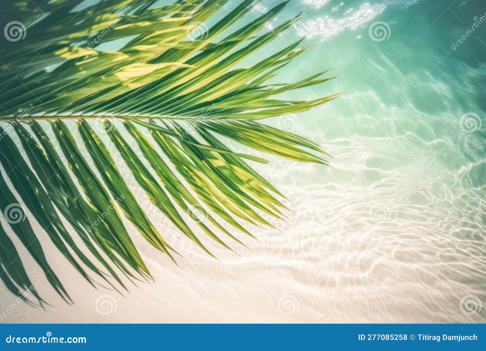Summer Background. Palm Leaves on Wave Beach. Generative Ai Stock ...